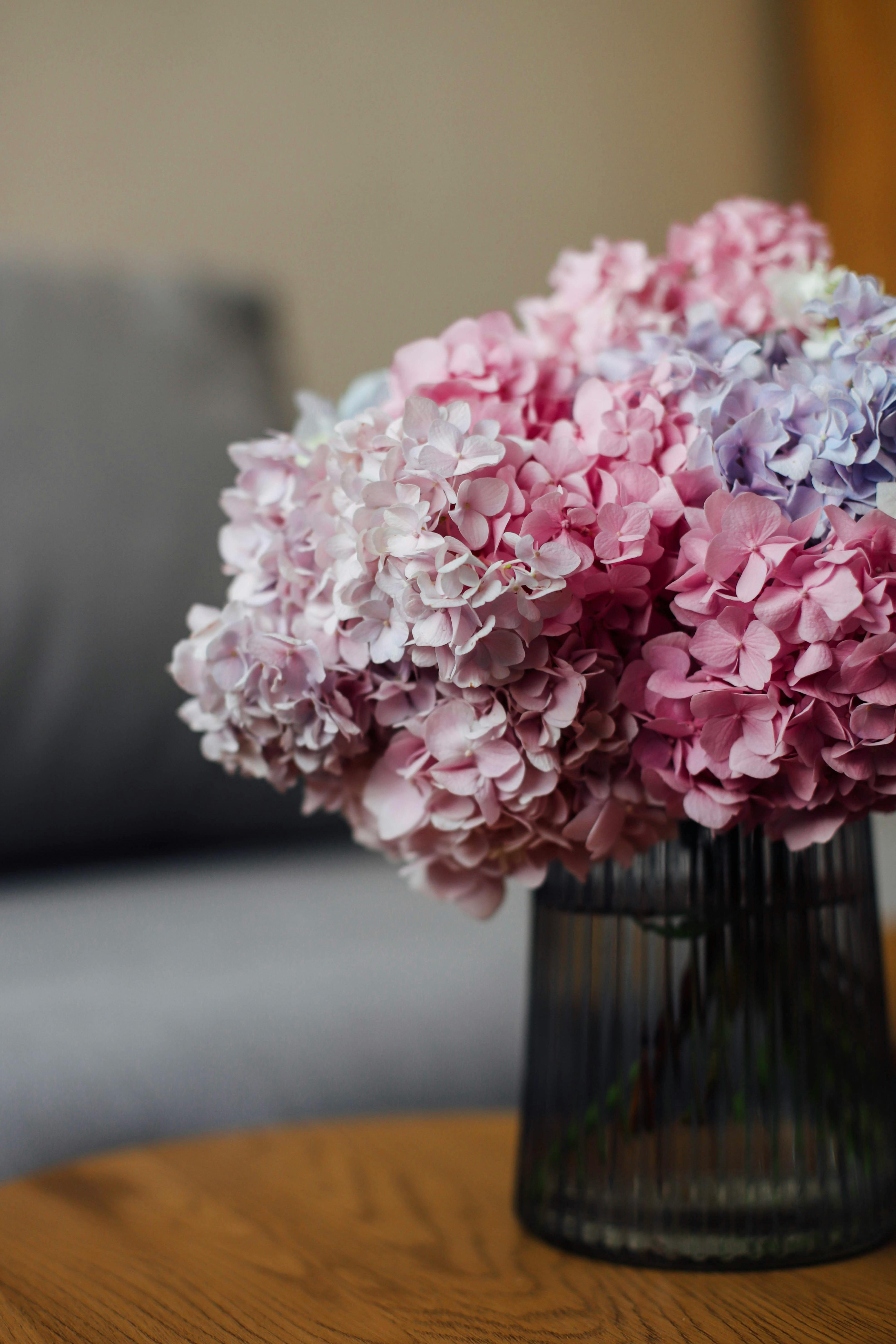 Pink Hydrangea Bouquet in a Vase · Free Stock Photo