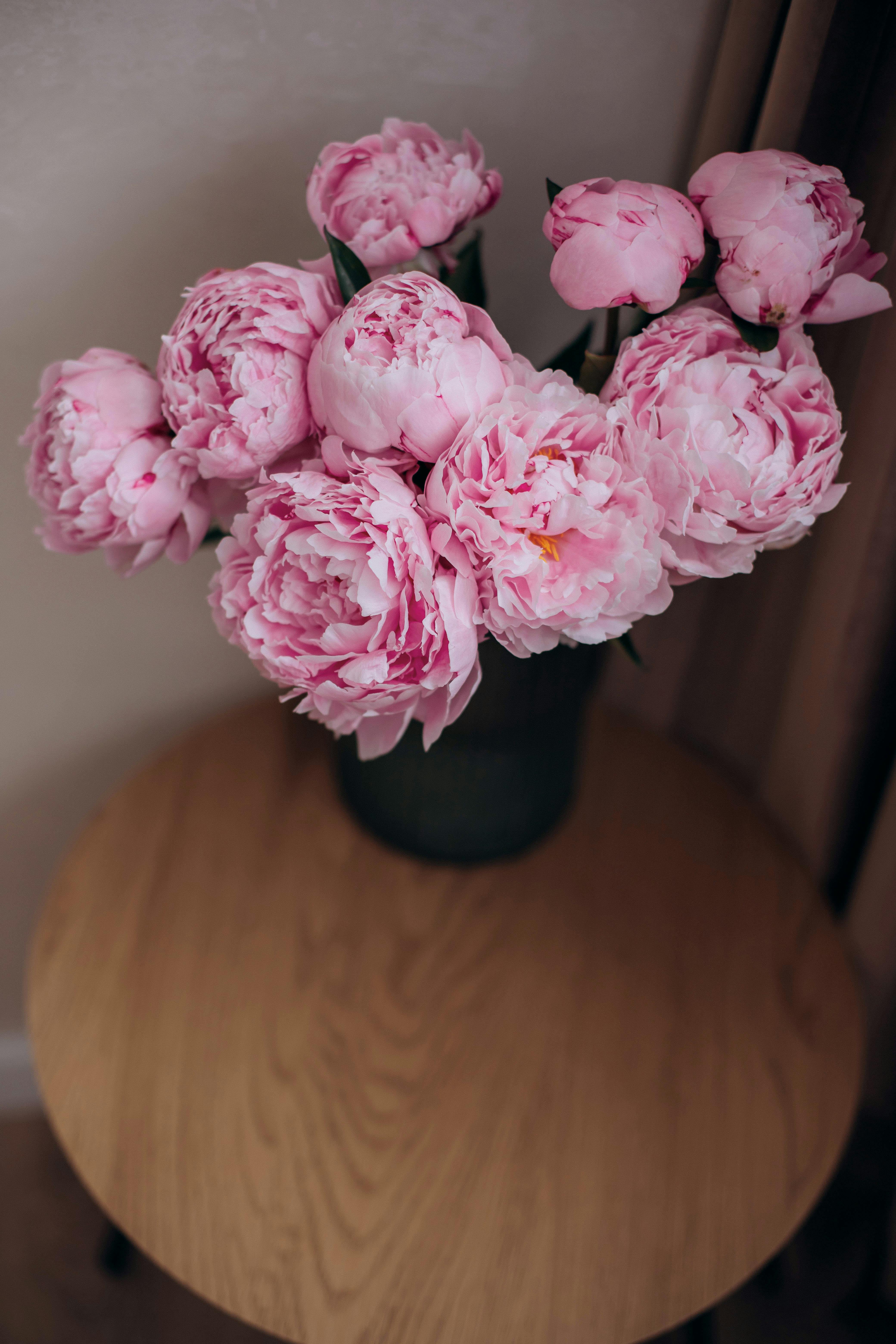 Pink Flowers on White Vase · Free Stock Photo