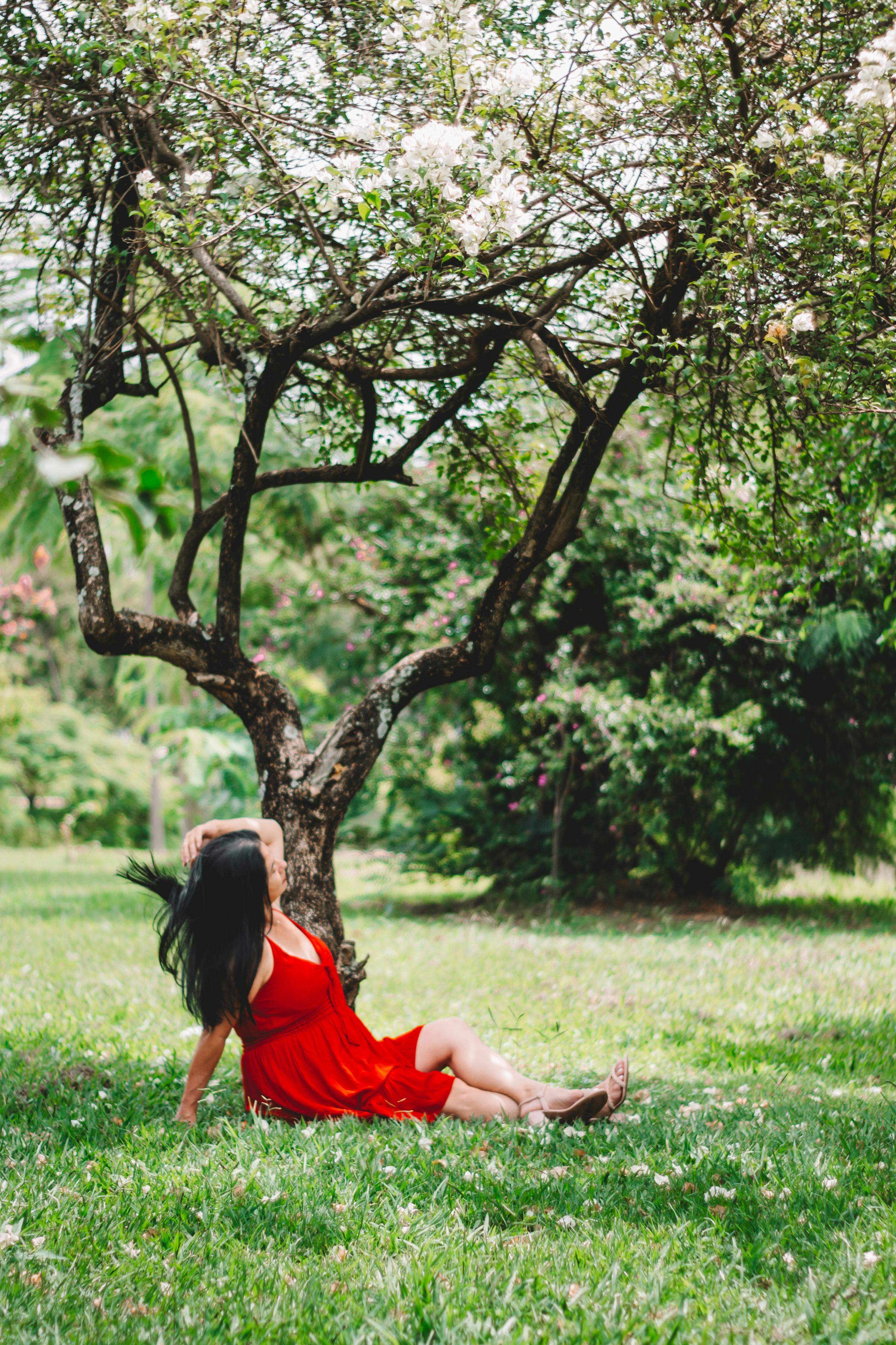 Woman Sitting under Tree · Free Stock Photo