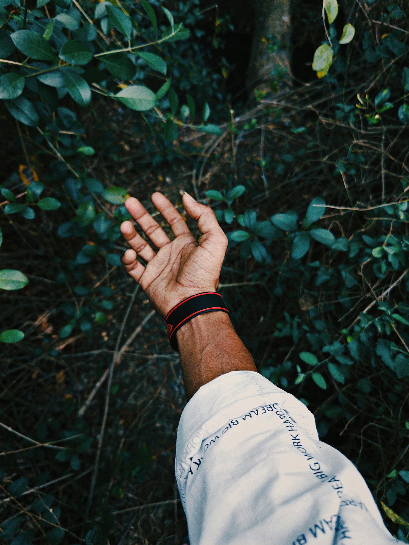 Arm Reaching Up Photos, Download The BEST Free Arm Reaching Up Stock ...