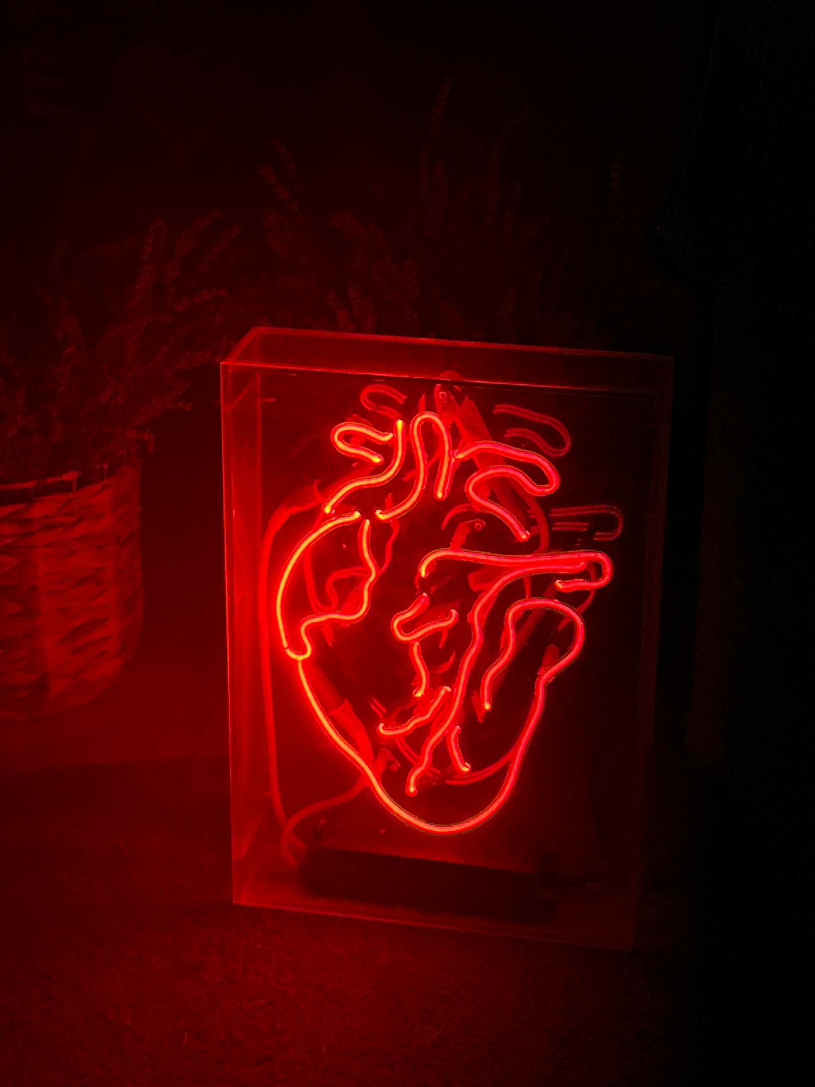 Anatomical Heart Photos, Download The BEST Free Anatomical Heart Stock ...