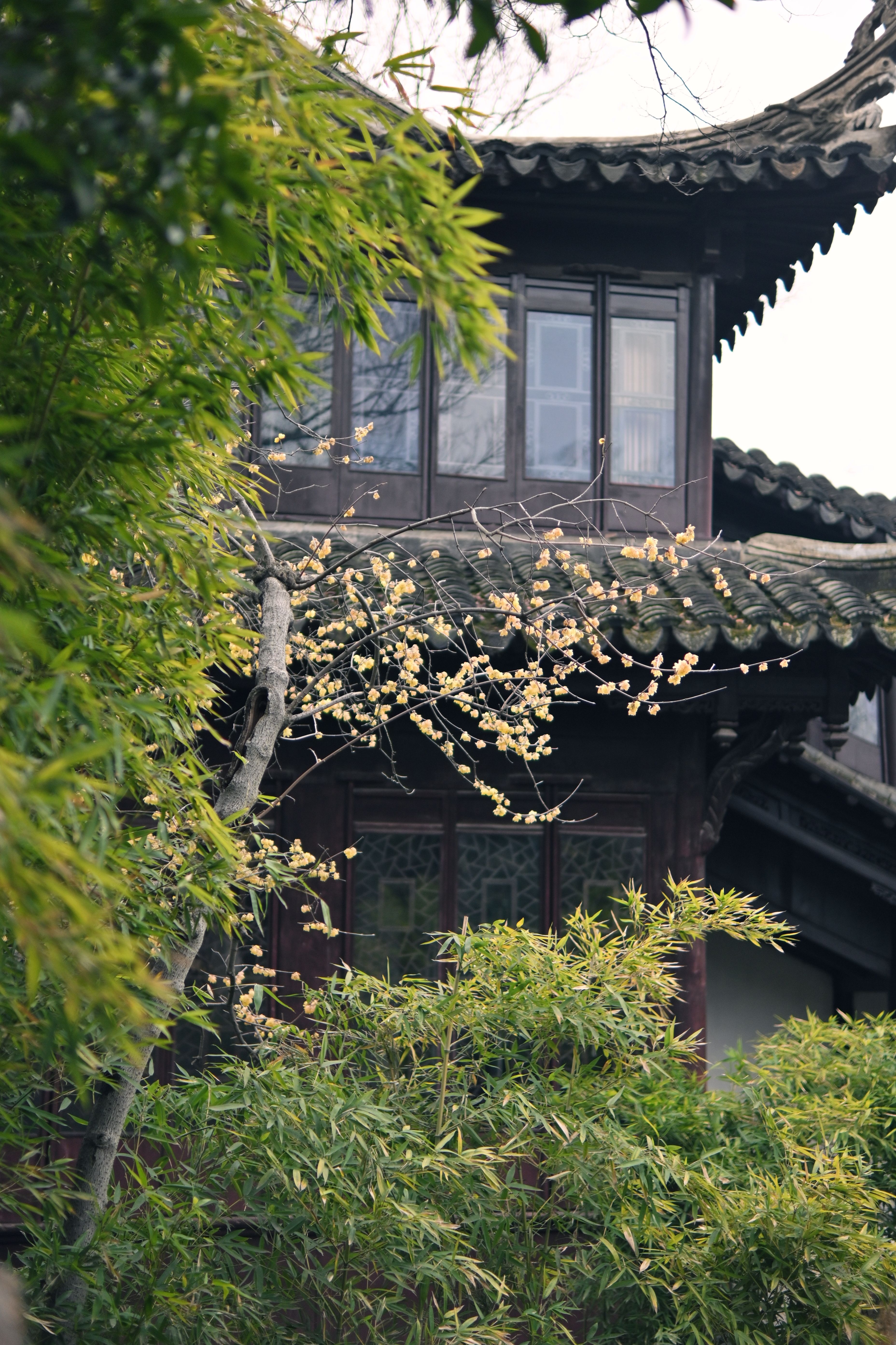 Traditional Chinese Building in Ouyuan Garden · Free Stock Photo