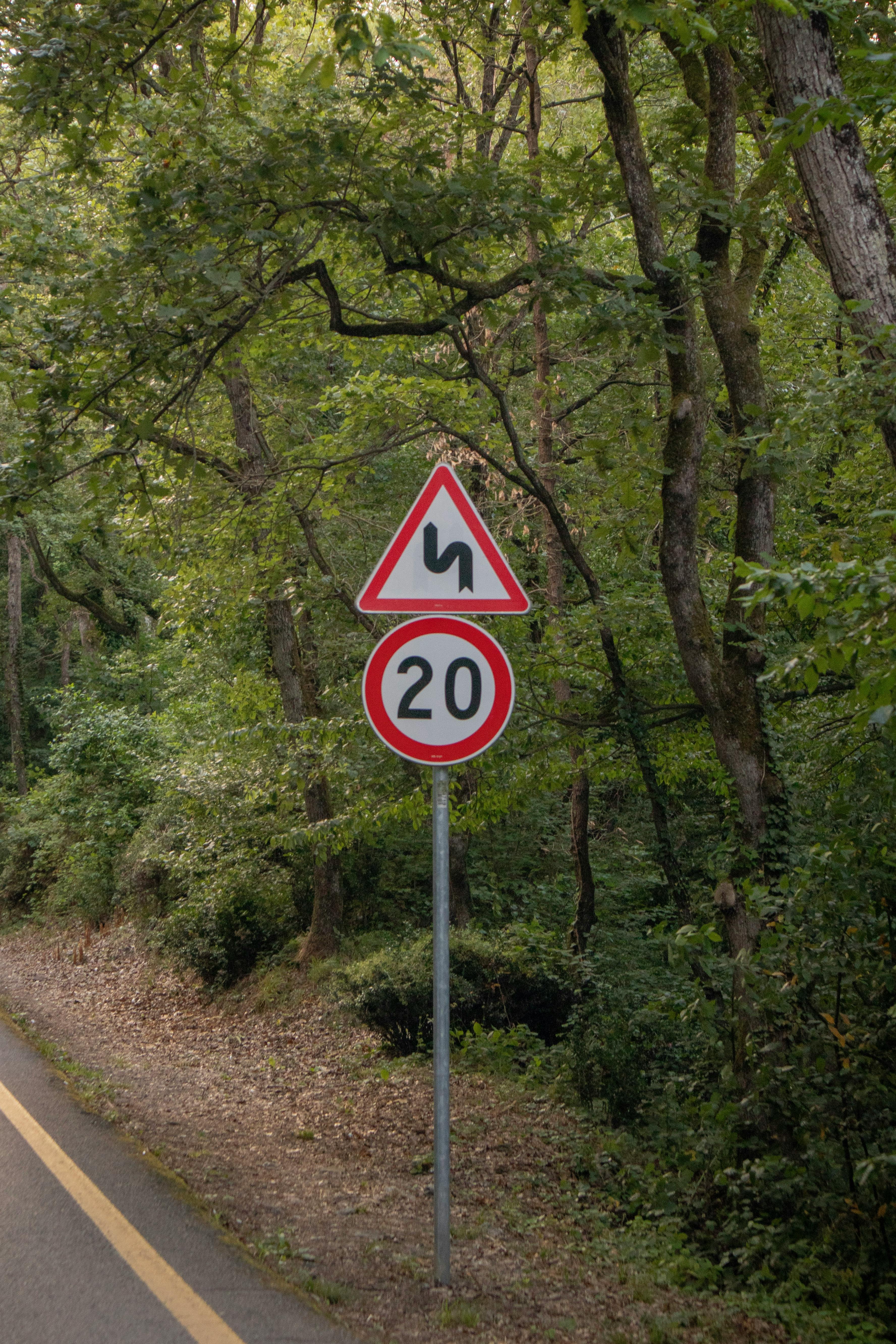Signs on the Forest Road · Free Stock Photo
