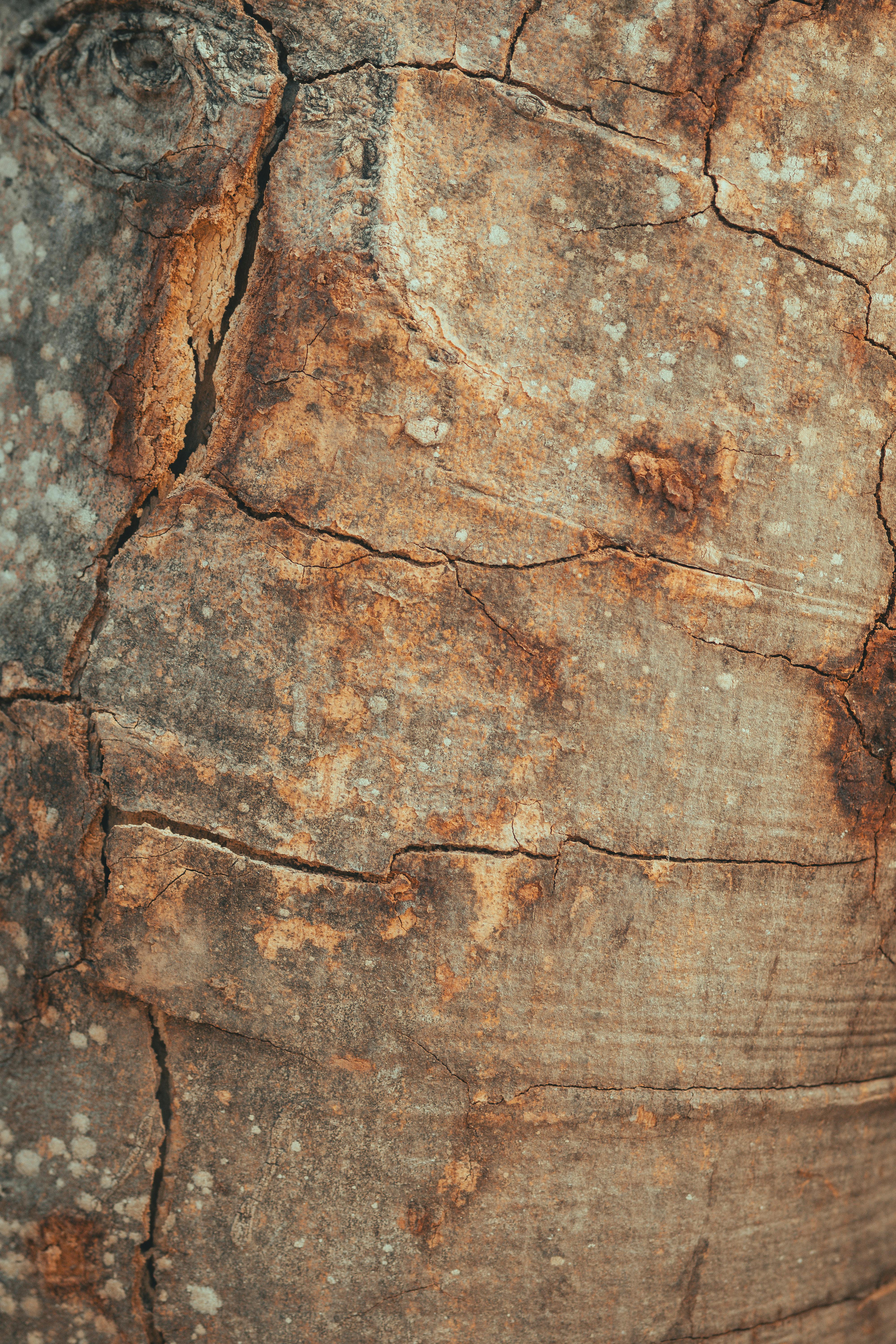 Broken Structure Photos, Download The BEST Free Broken Structure Stock ...