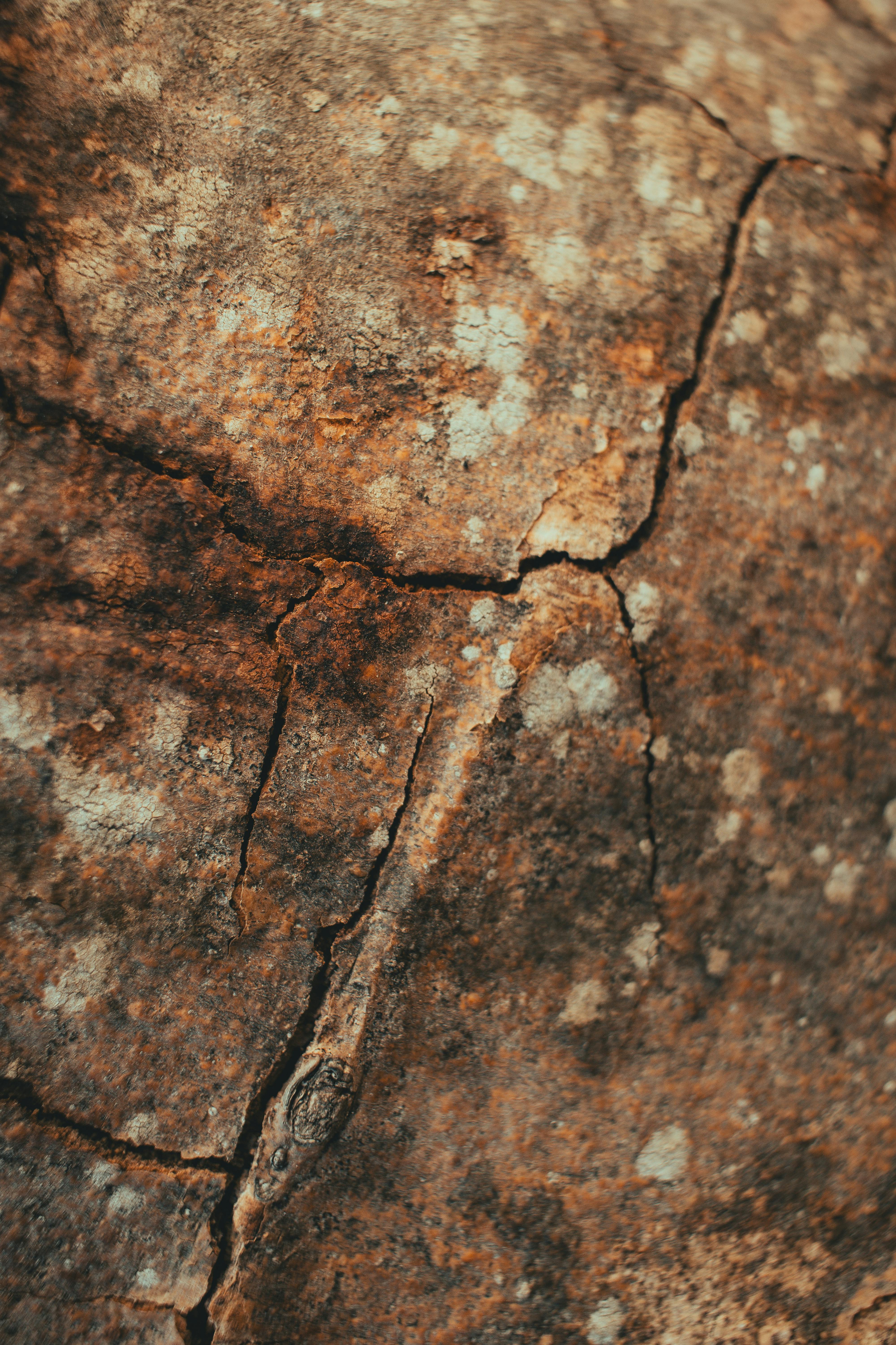 A close up of a rock with cracks · Free Stock Photo