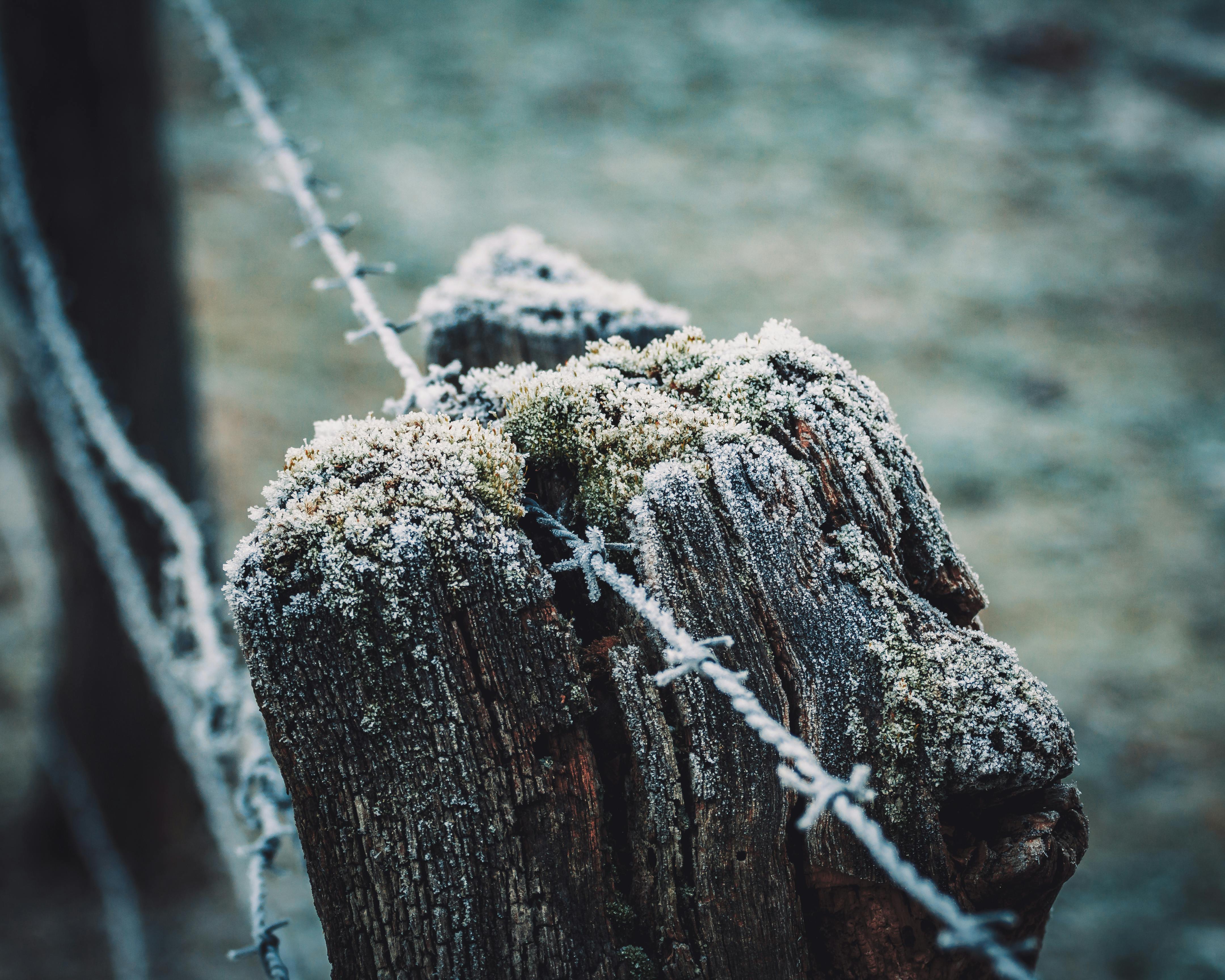 Sebastian Beck · 사진