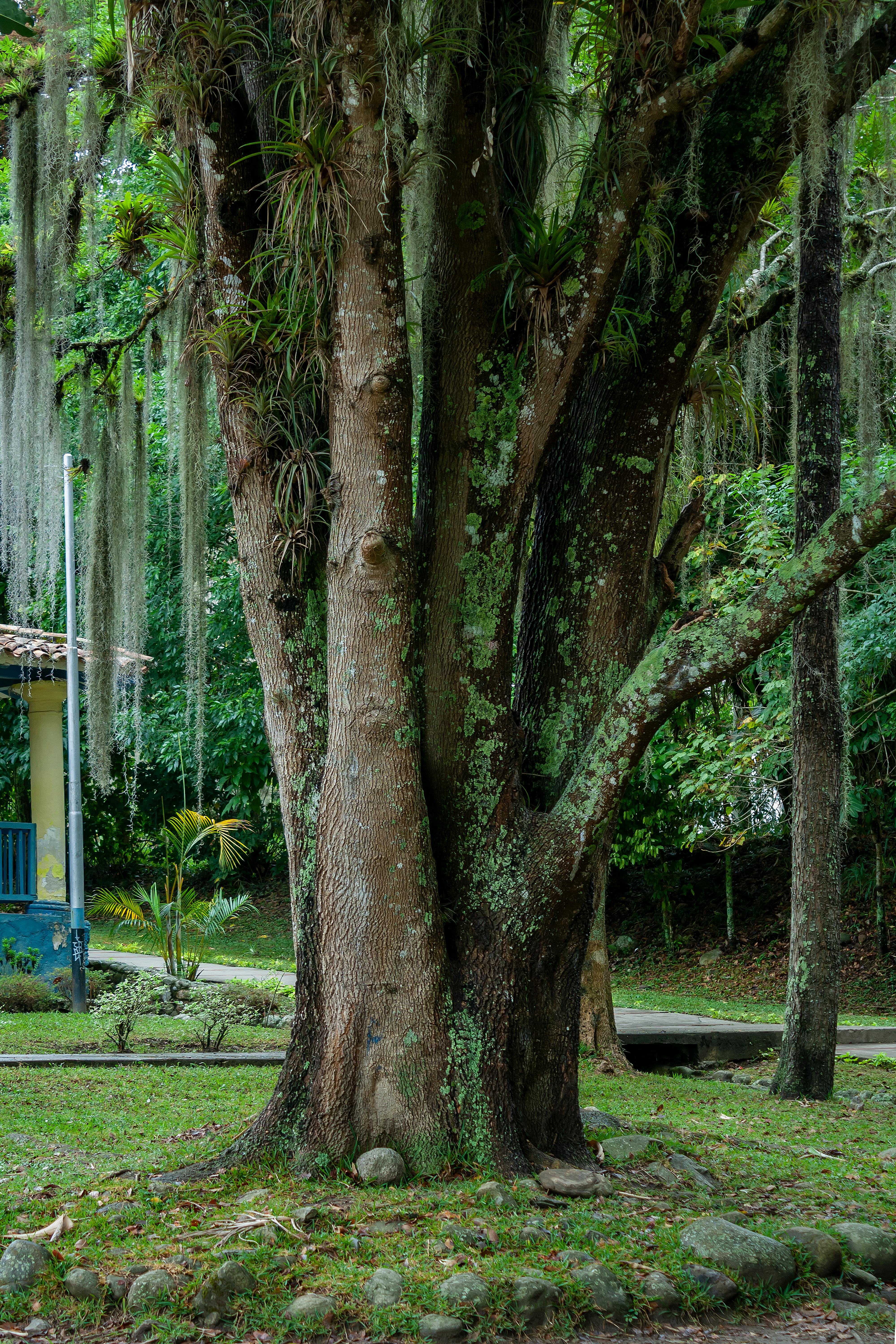 Big Pharma Photos, Download The BEST Free Big Pharma Stock Photos & HD ...