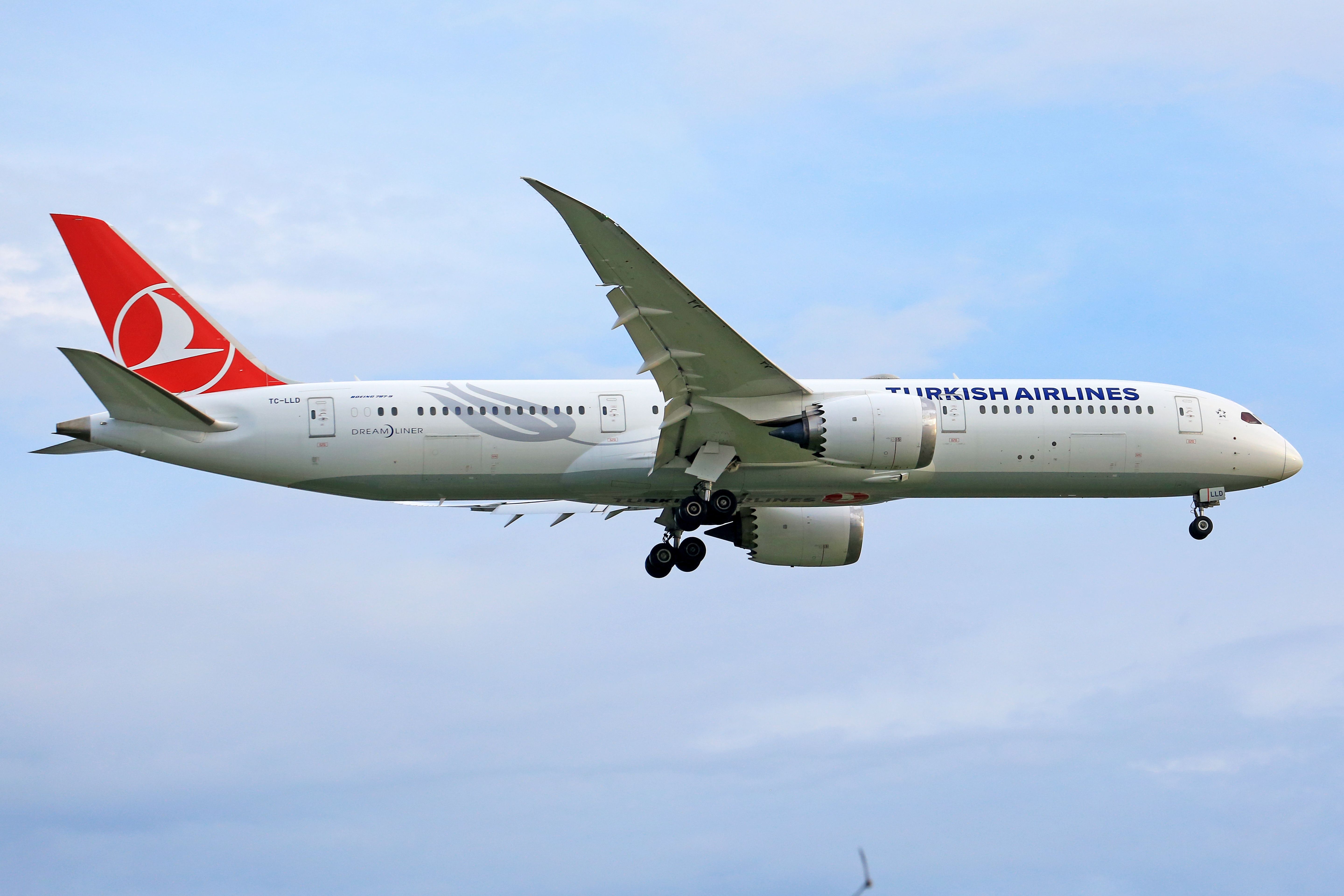 Turkish Airlines Airplane Flying · Free Stock Photo