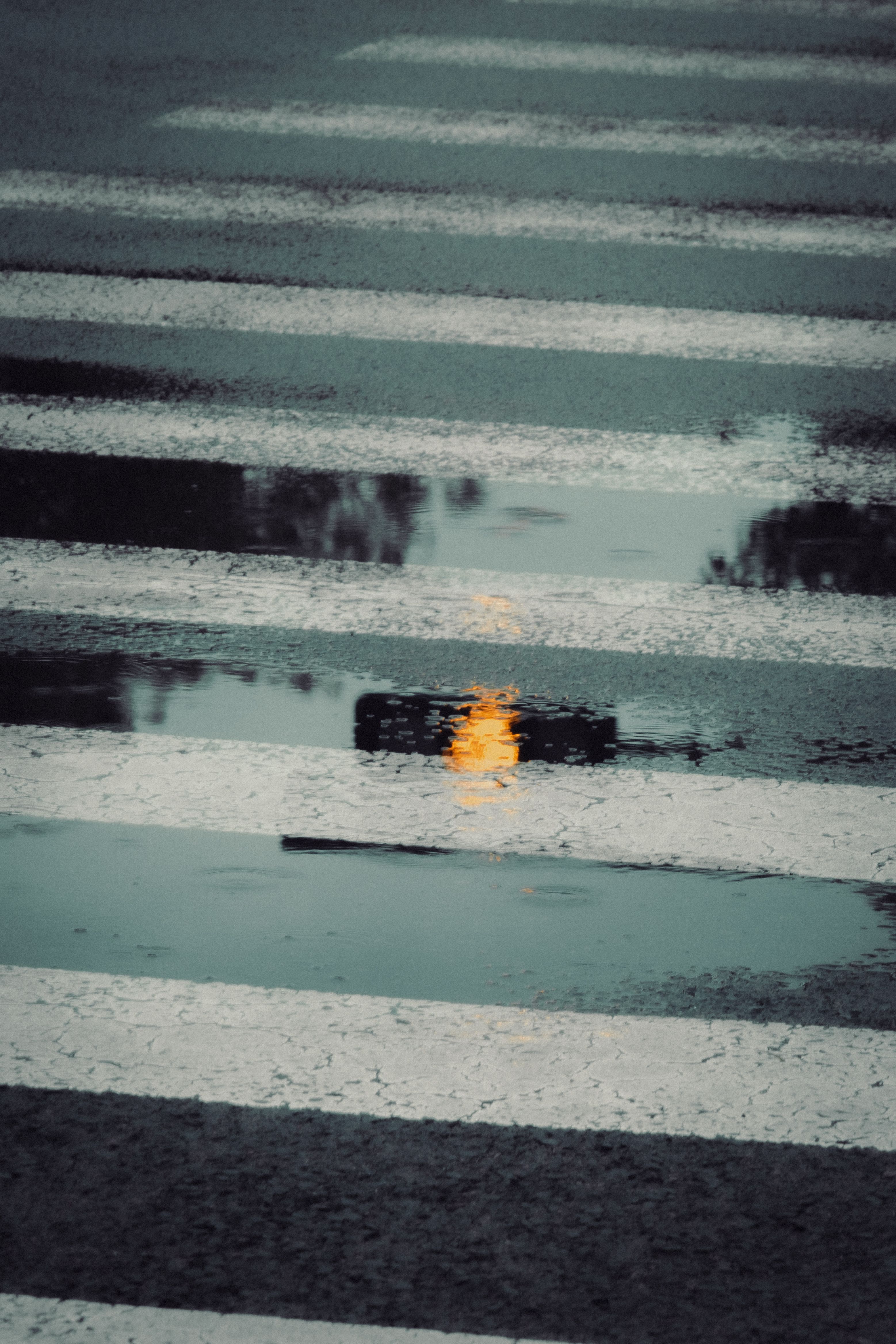 Water Puddle on Crosswalk · Free Stock Photo