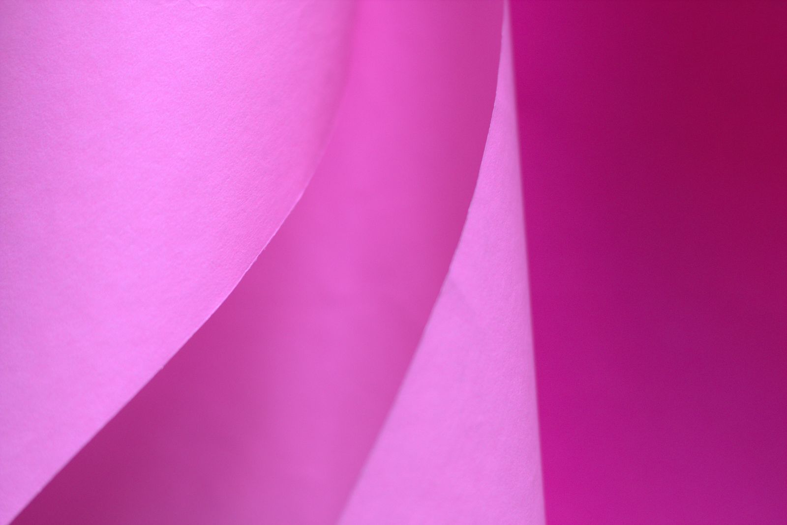 Plain Pink Color Photos, Download The BEST Free Plain Pink Color Stock ...