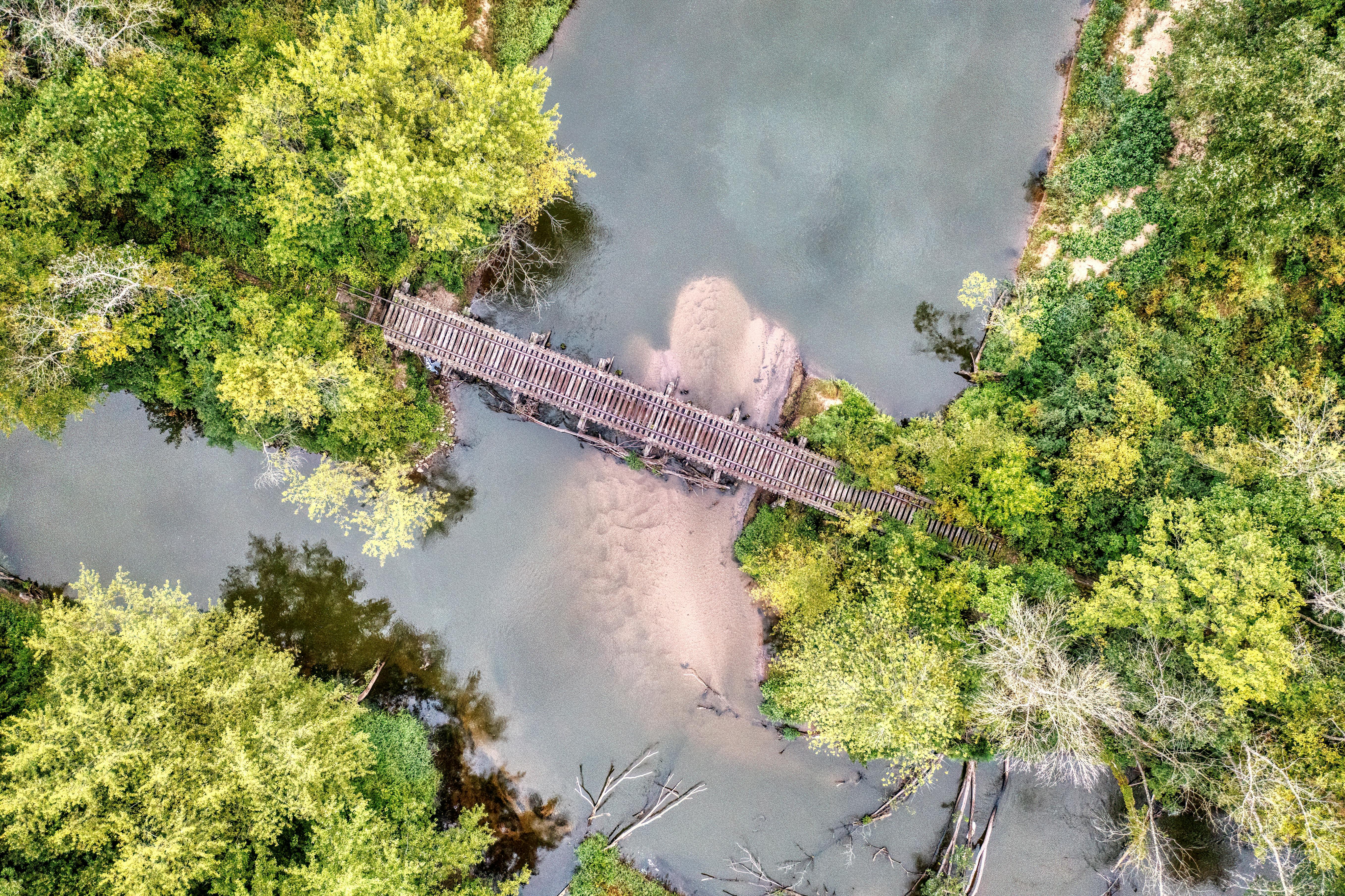 Tree Arial Photography Photos, Download The BEST Free Tree Arial ...