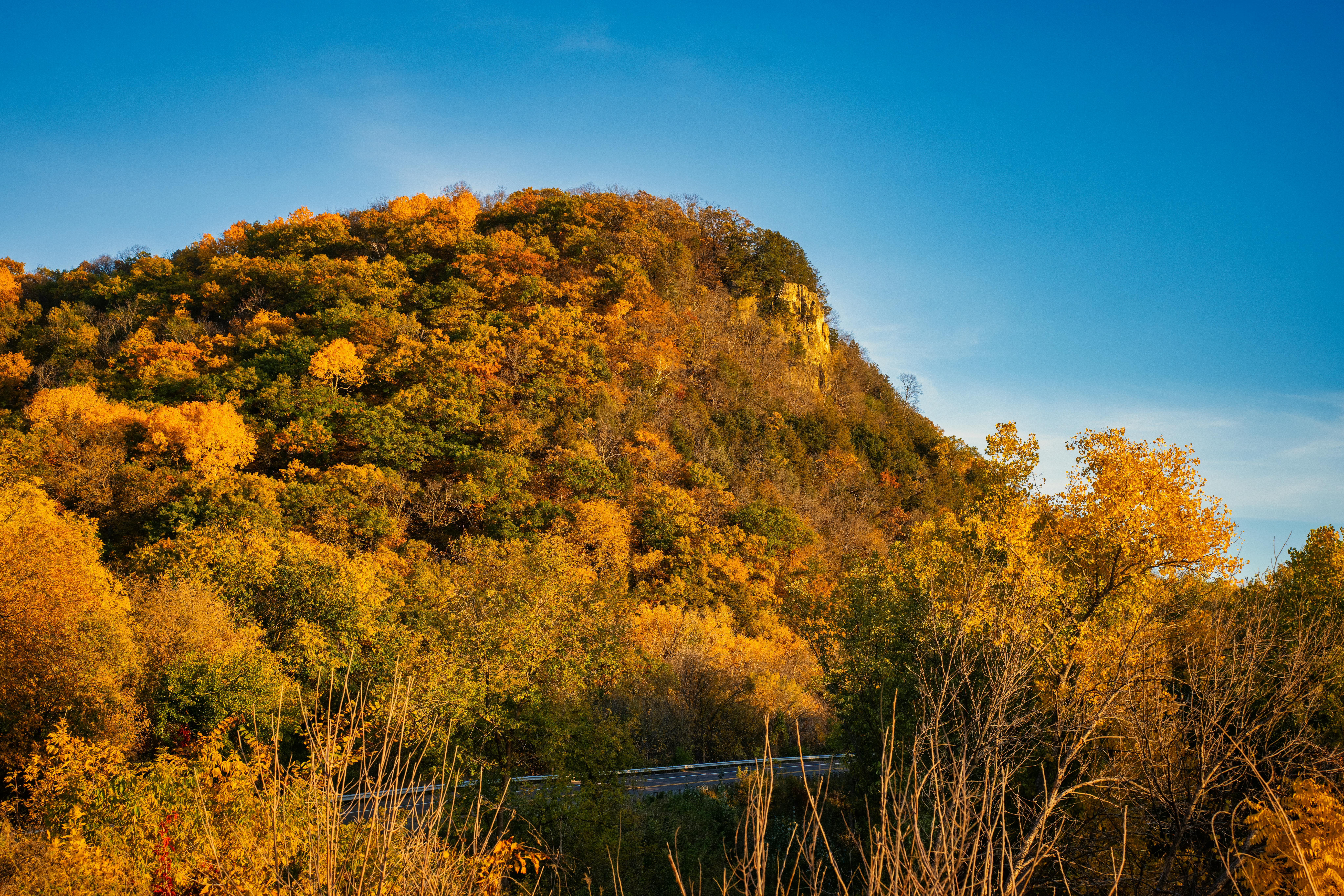 Colorful Hill in Autumn · Free Stock Photo
