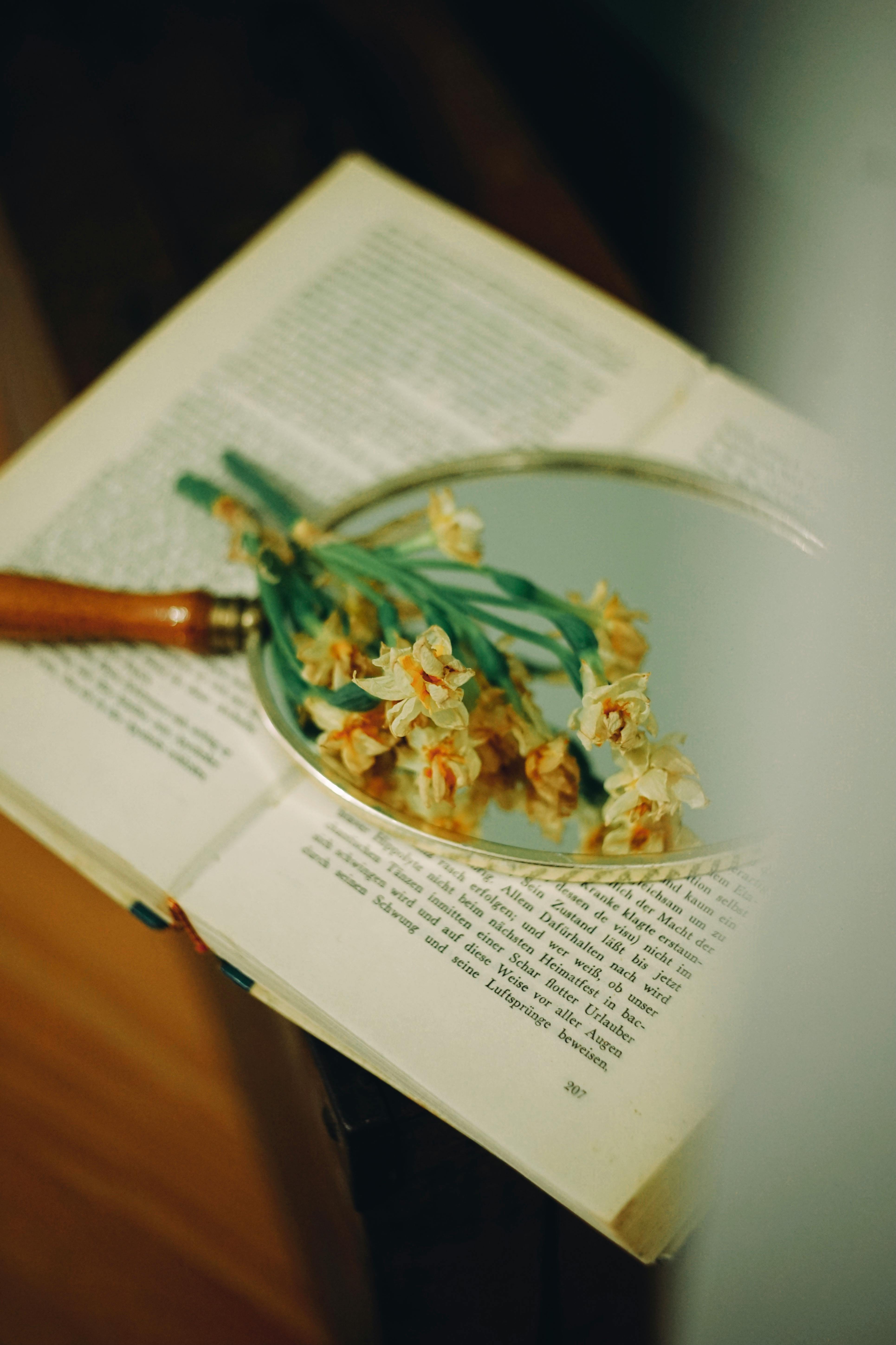 Drying Flowers with Mirror on Book · Free Stock Photo