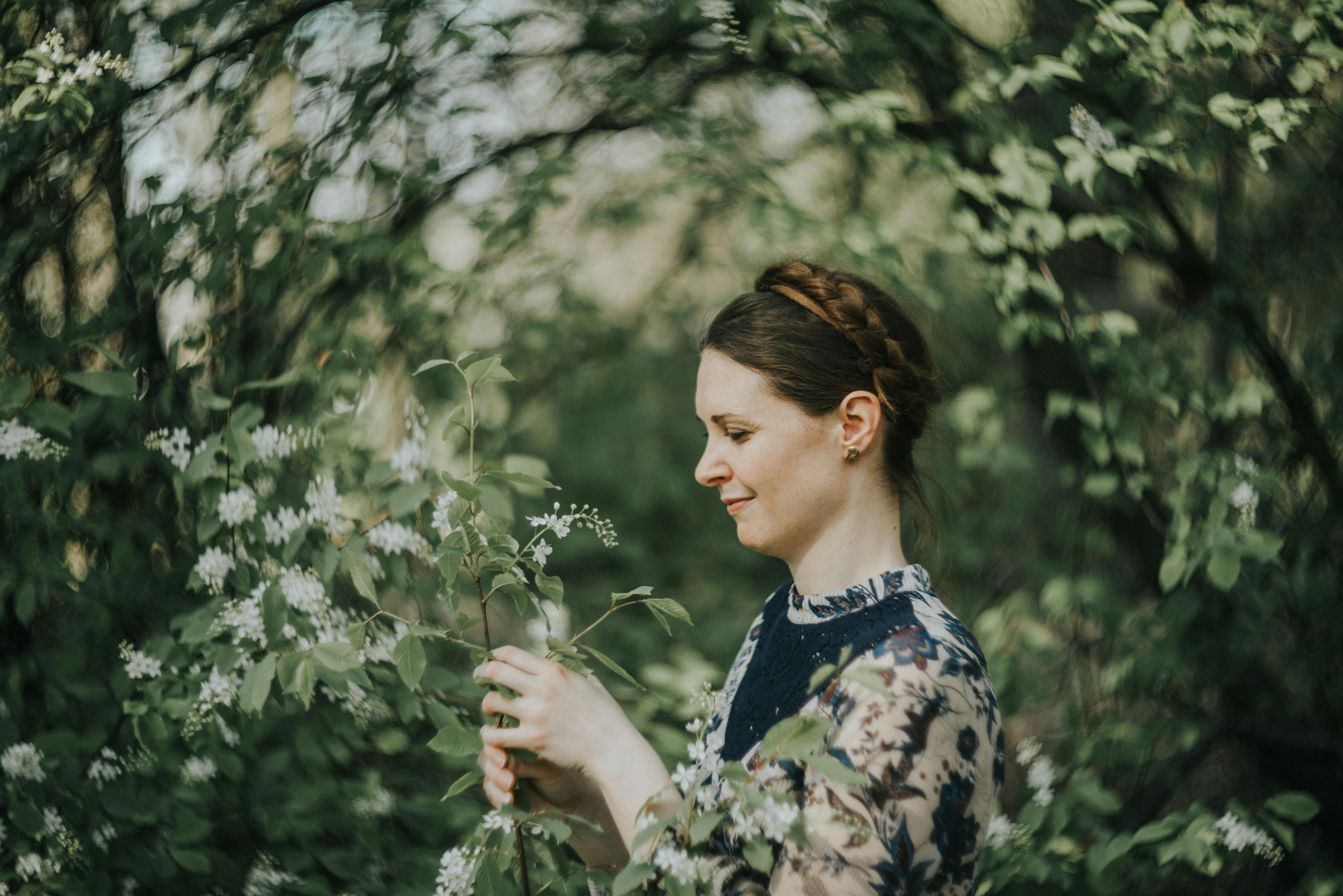 Baston Poon Tree Photos, Download The BEST Free Baston Poon Tree Stock ...