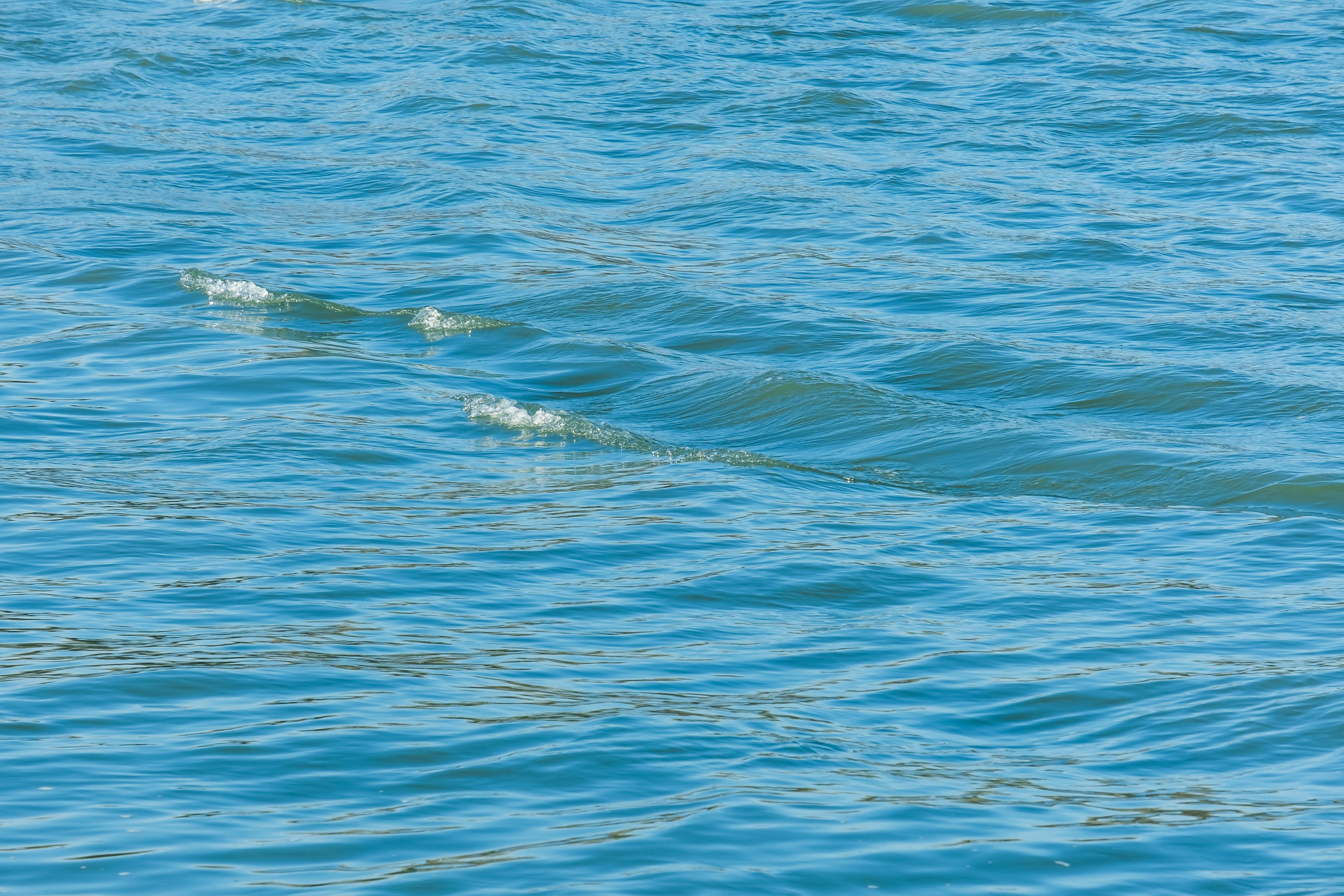 Hd Wallpaper Shallow Photos, Download The BEST Free Hd Wallpaper ...