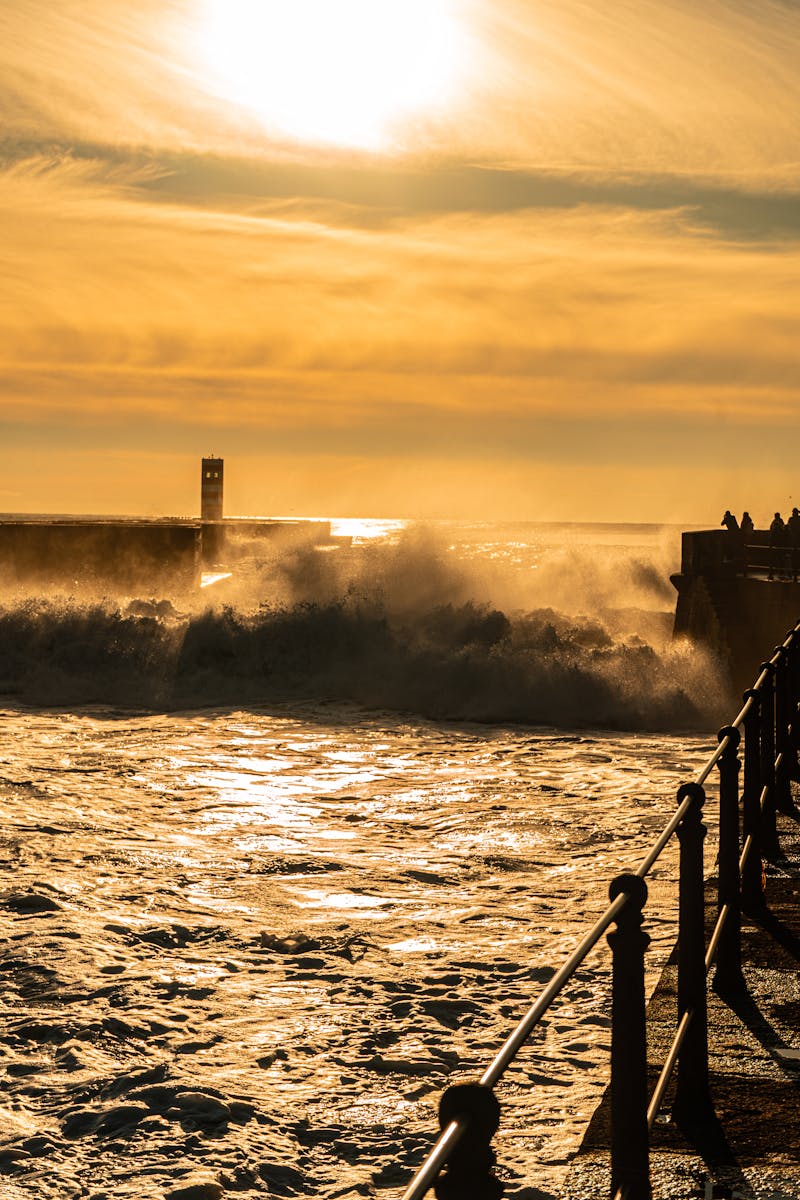 Rogue Wave Photos, Download The BEST Free Rogue Wave Stock Photos & HD ...