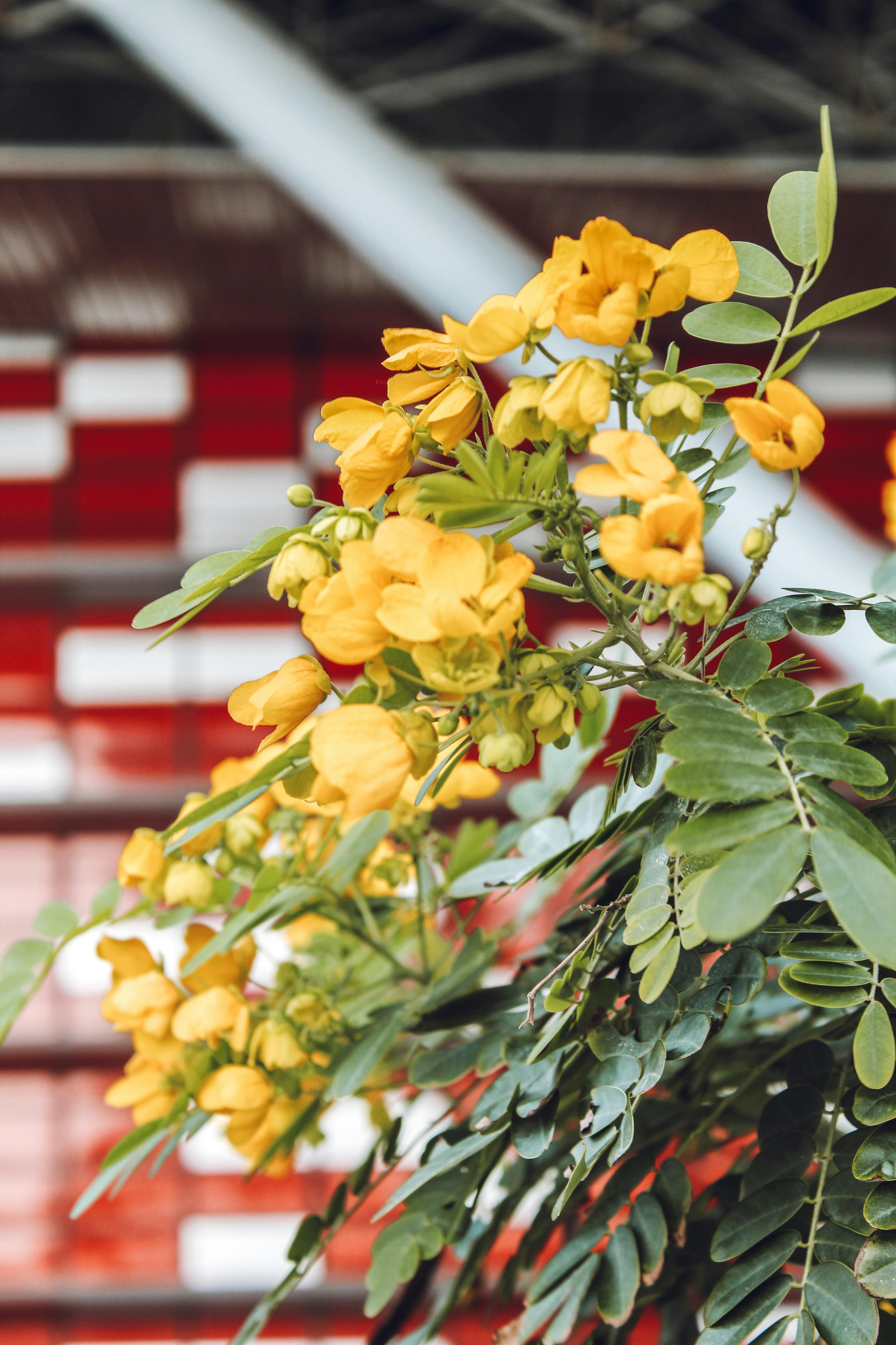 Dina Adel - Photography