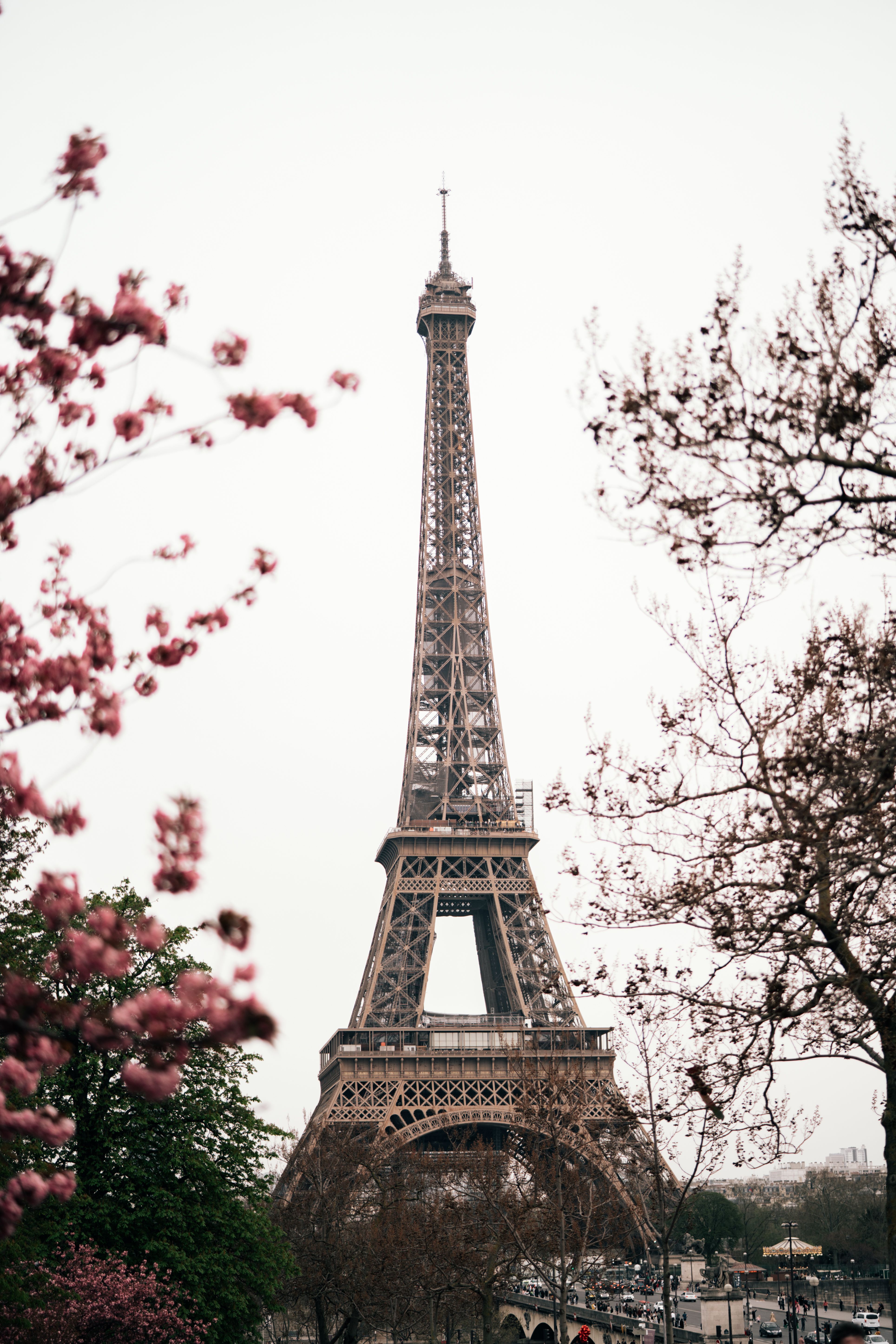 Eifel Tower Photos, Download The BEST Free Eifel Tower Stock Photos ...