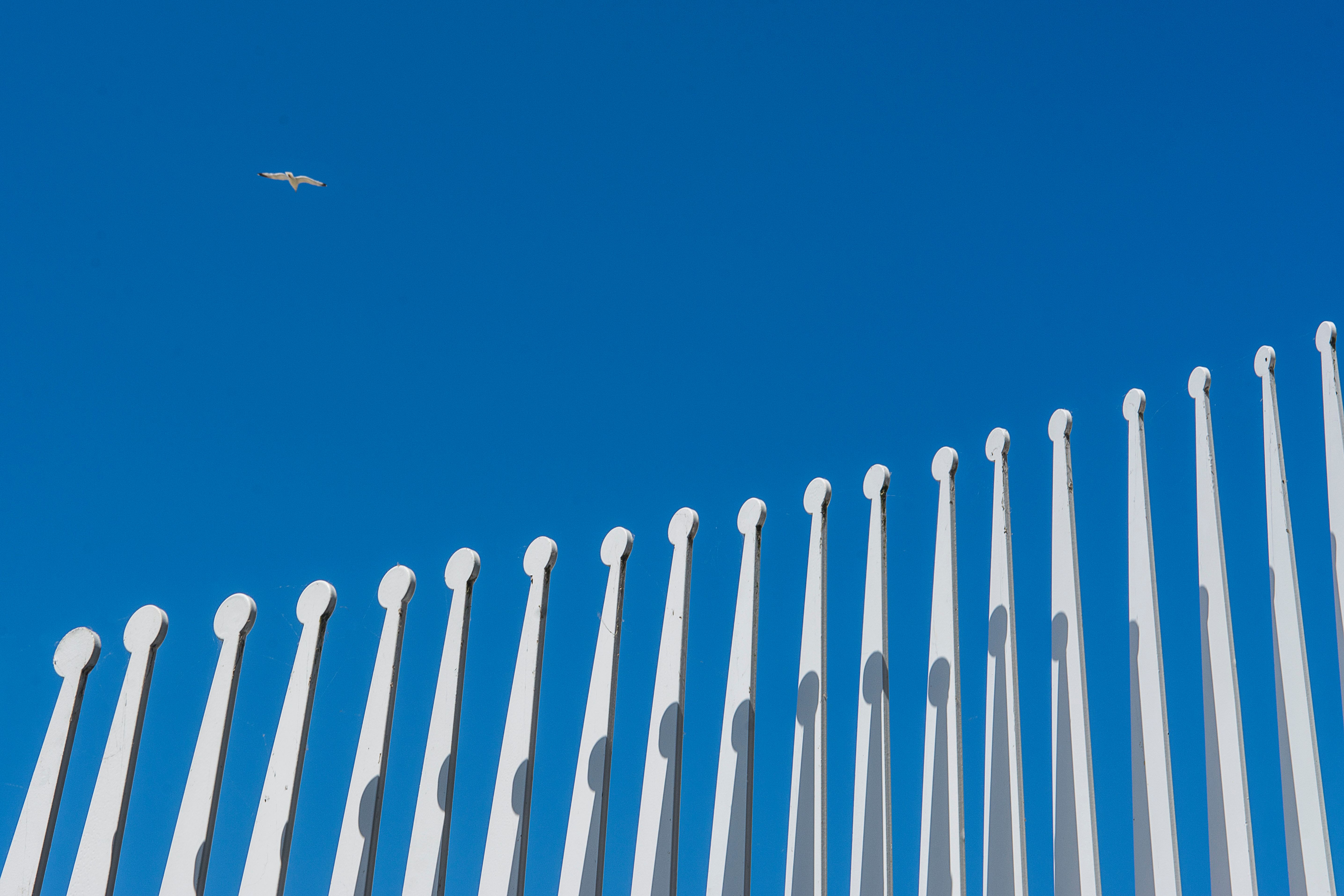 A plane flying over a fence with a blue sky · Free Stock Photo