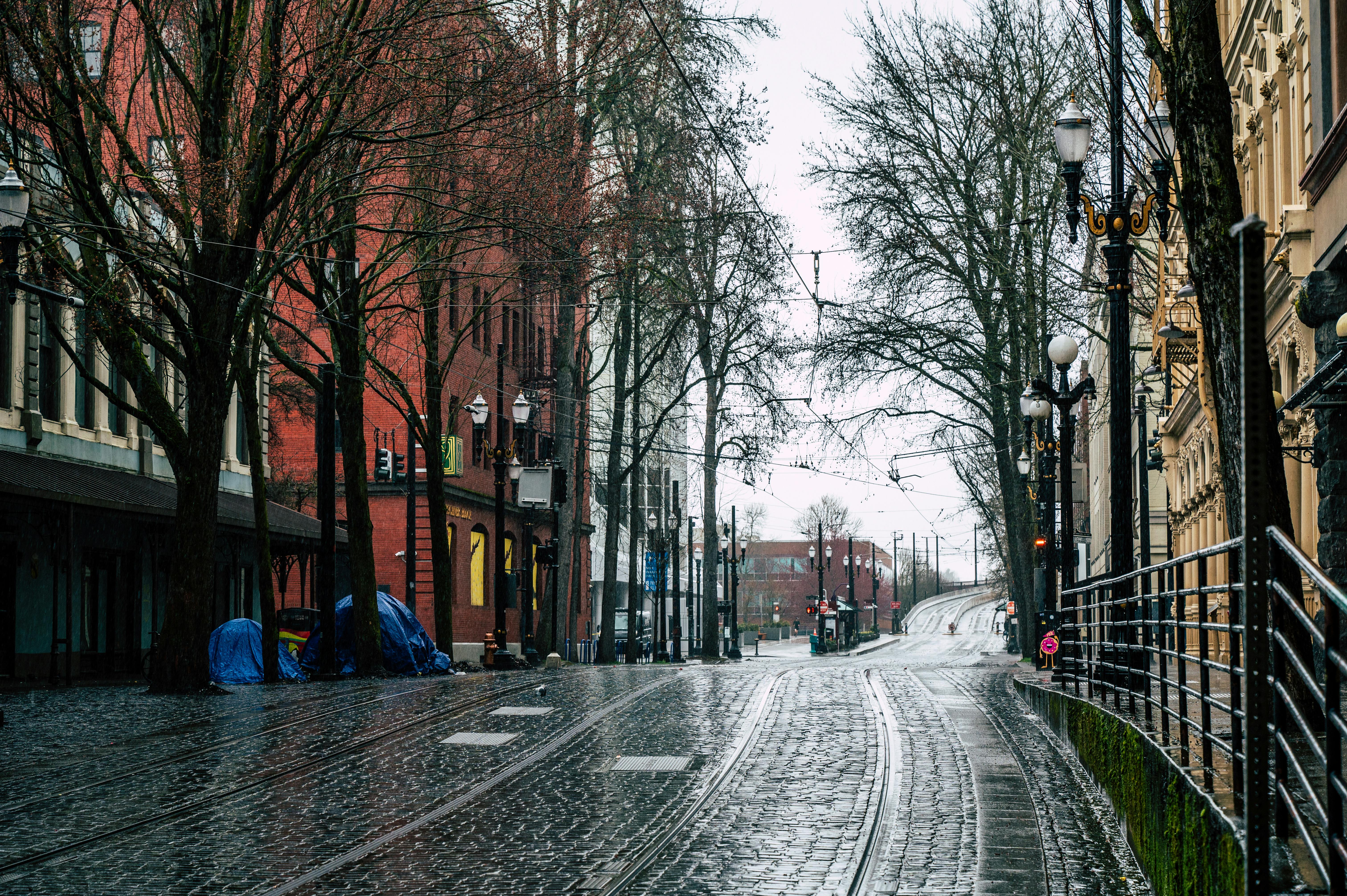 Rain-wet Cobblestone Street with Tram Tracks · Free Stock Photo