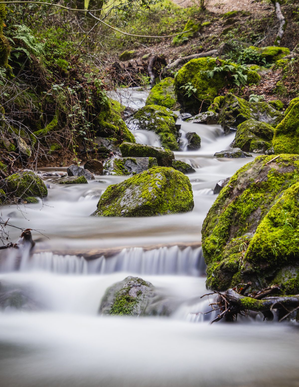 Stream In The Mountains Photos, Download The BEST Free Stream In The ...