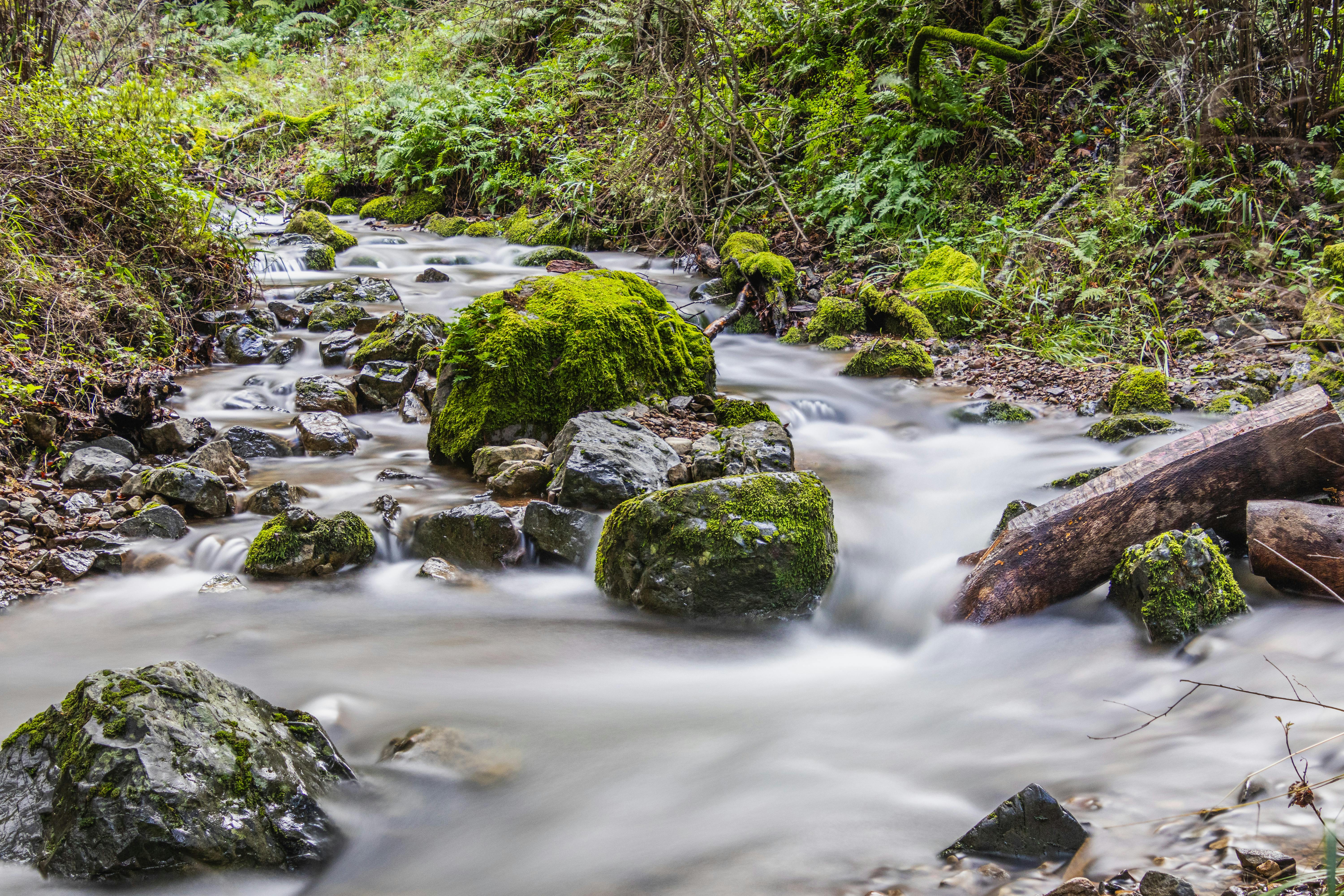 Rapid Stream with Moss on the Stones · Free Stock Photo