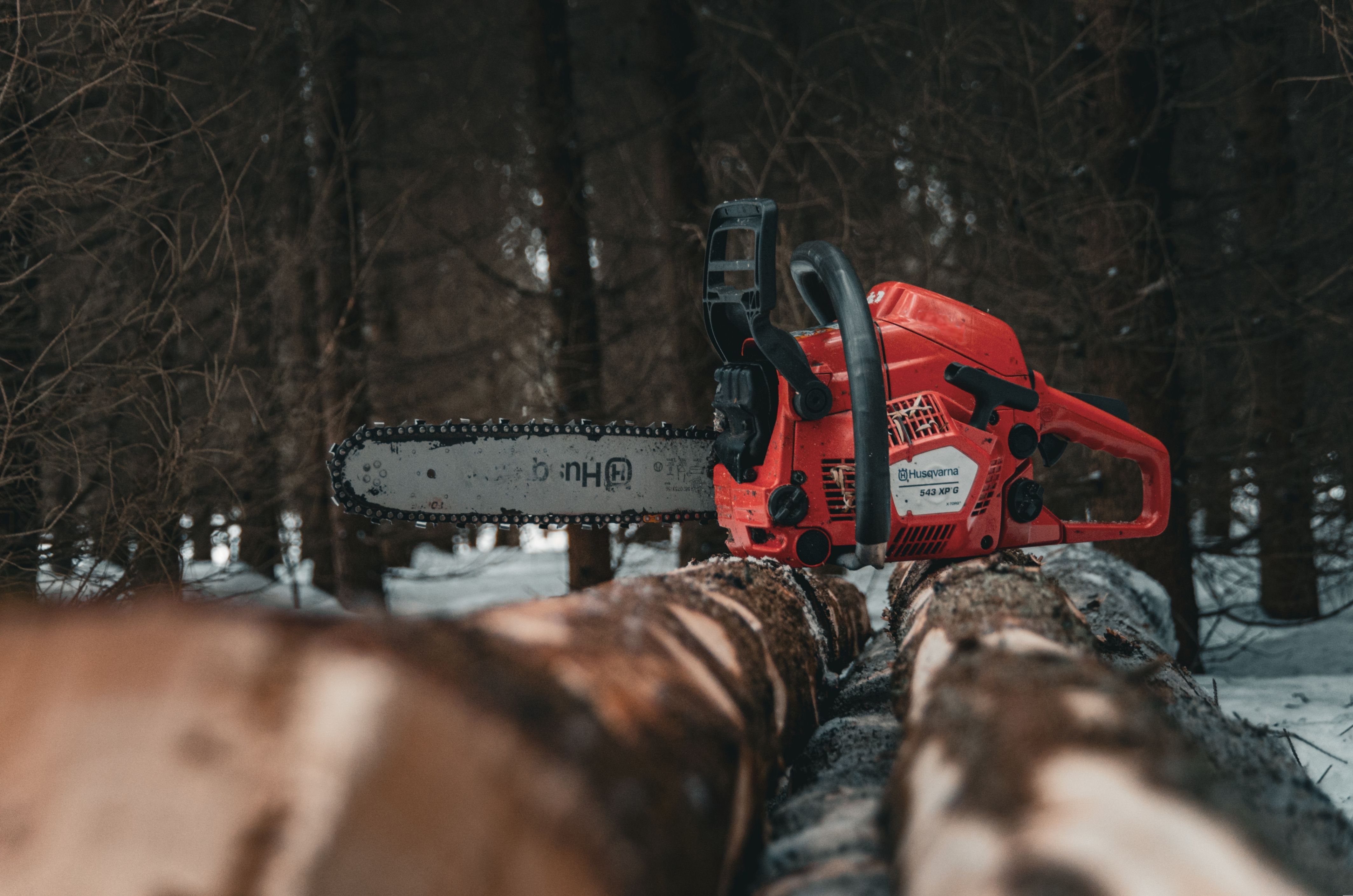 Close-up of a Chainsaw Lying on Tree Logs in a Forest in Winter · Free ...