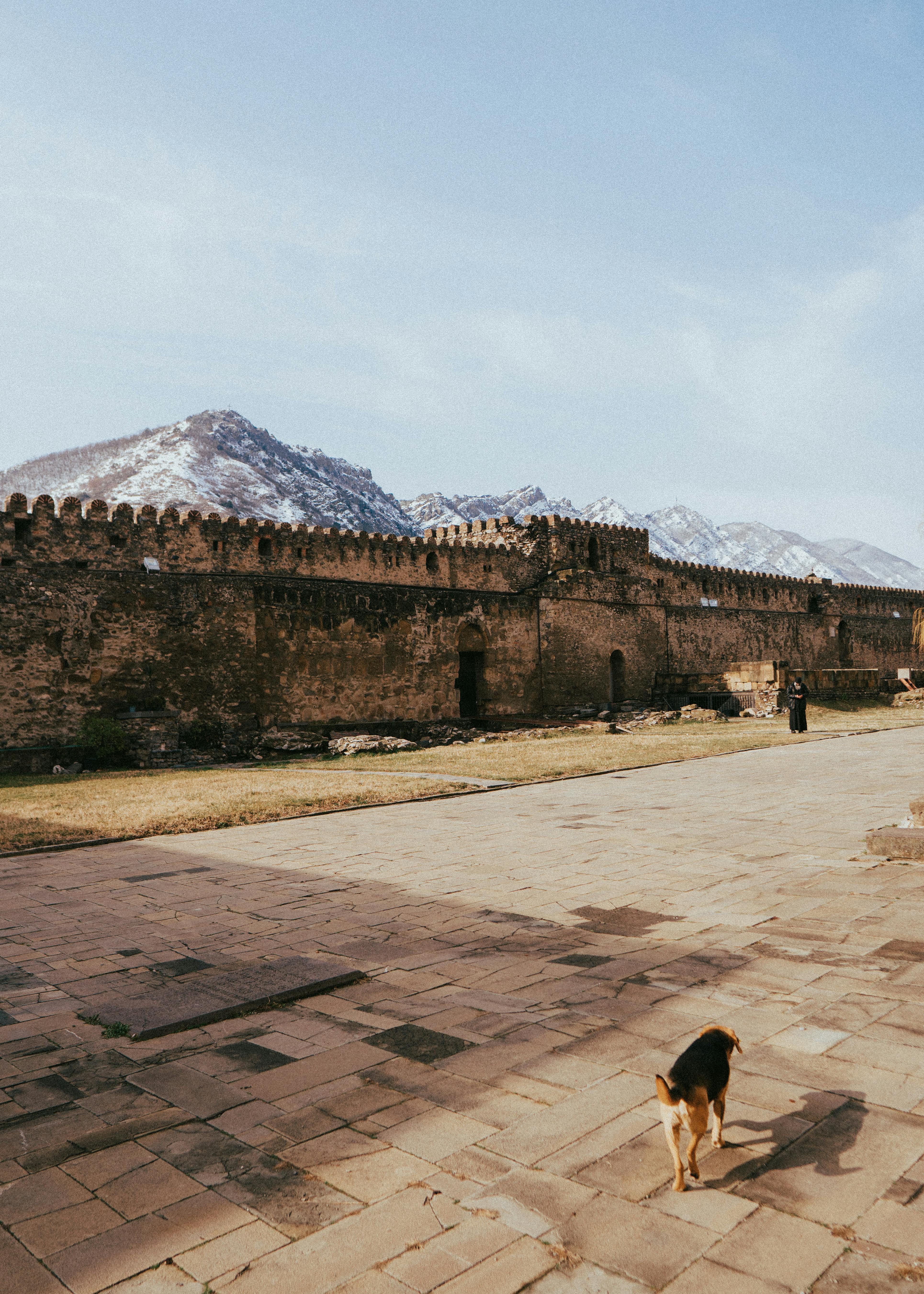 Day trip to Mtskheta · Free Stock Photo