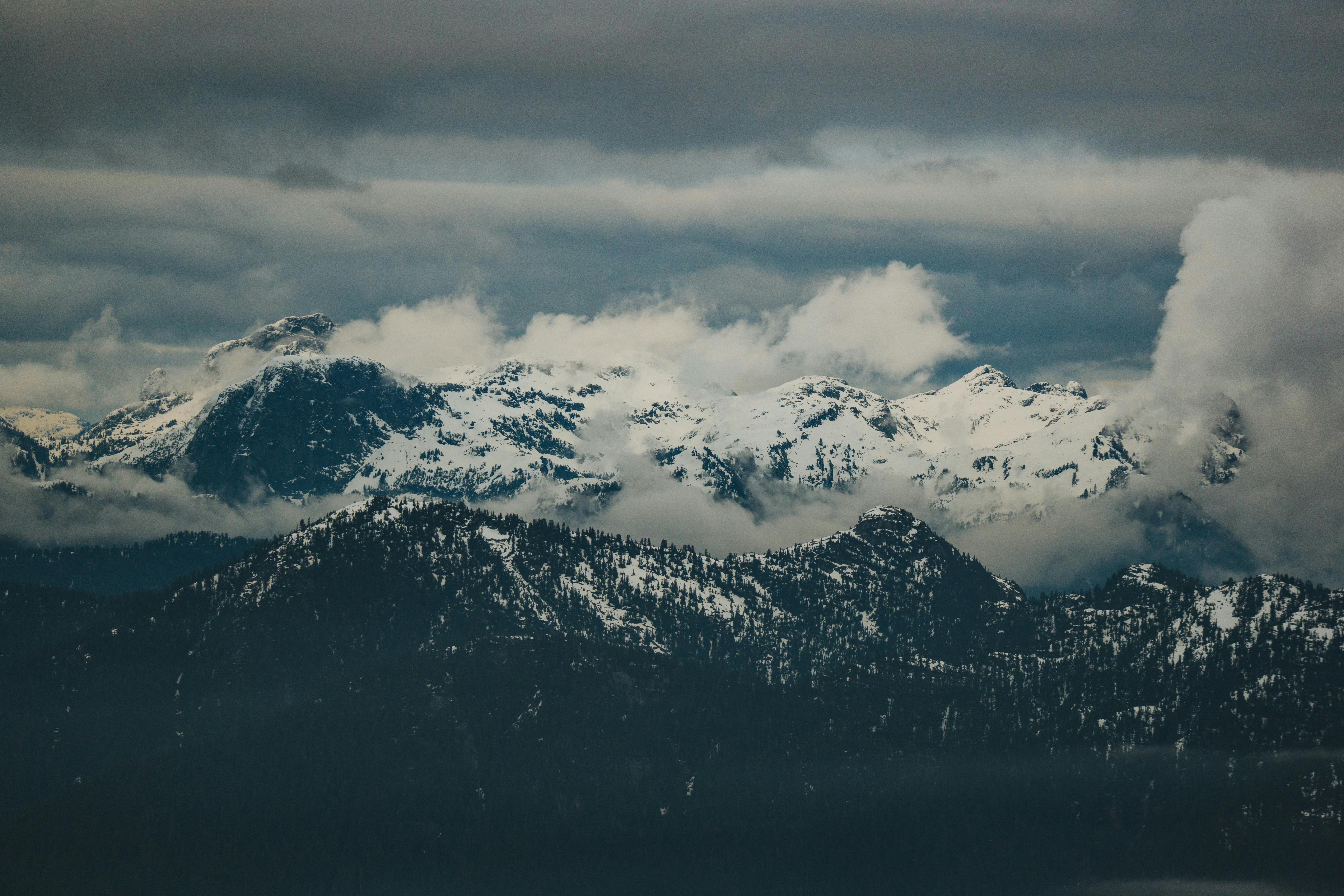 Central Alignment Photos, Download The BEST Free Central Alignment ...