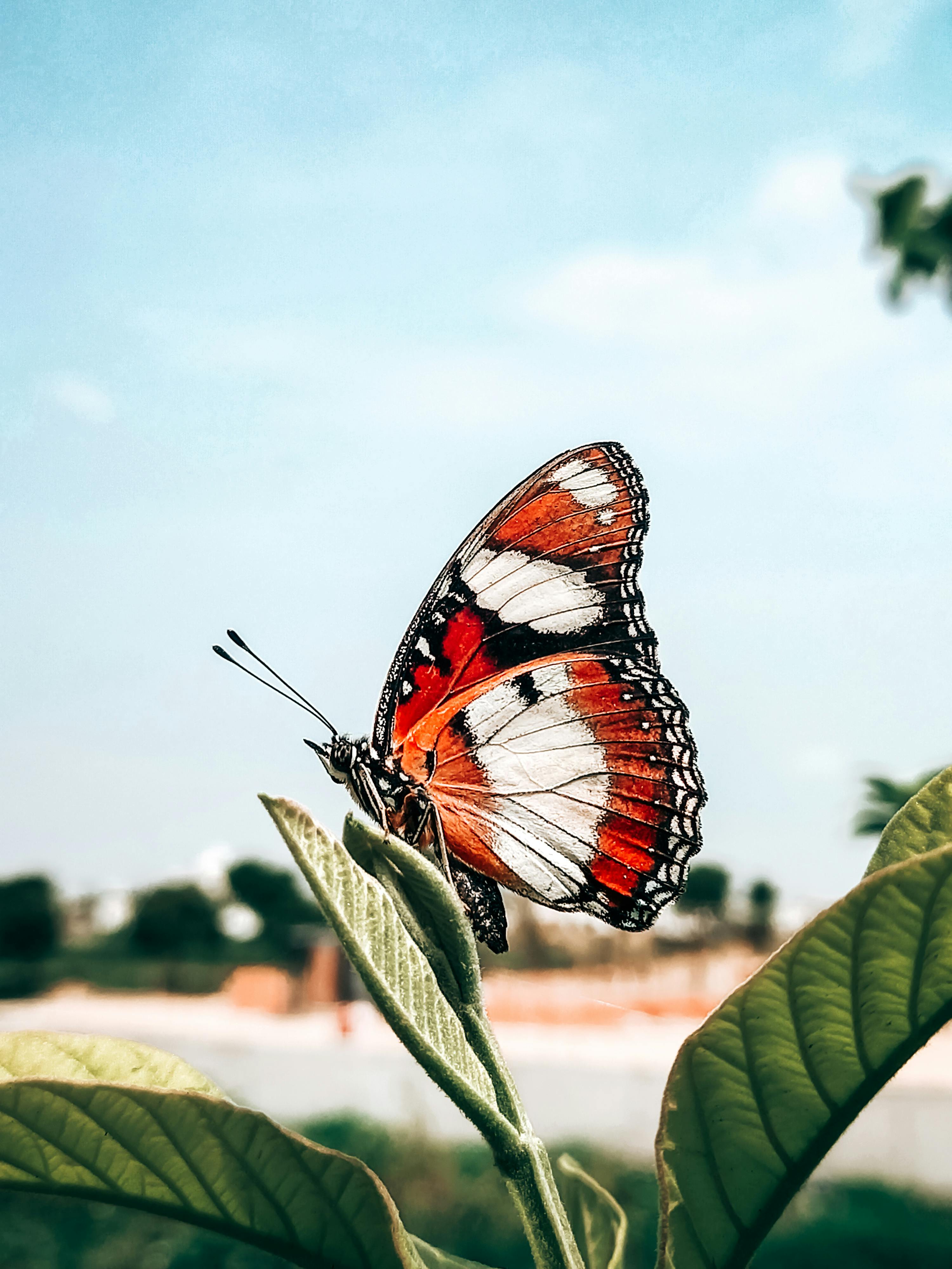 Umang Patel - Photography