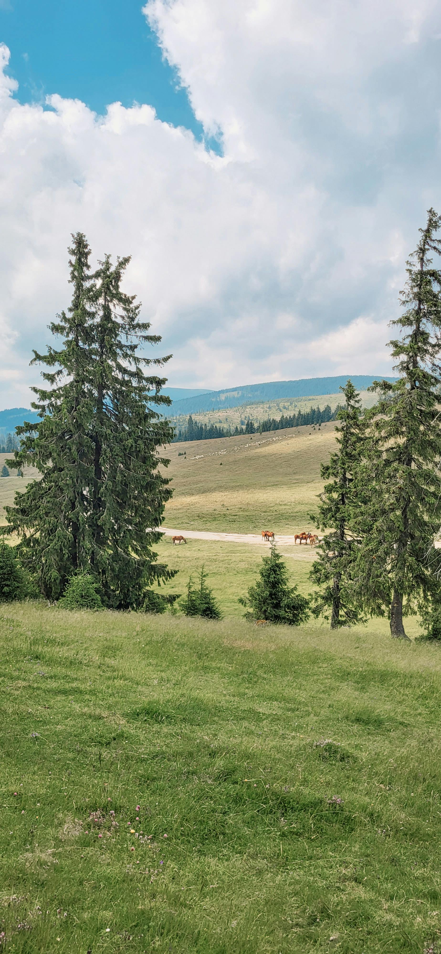 Vertical Ab Photos, Download The BEST Free Vertical Ab Stock Photos ...