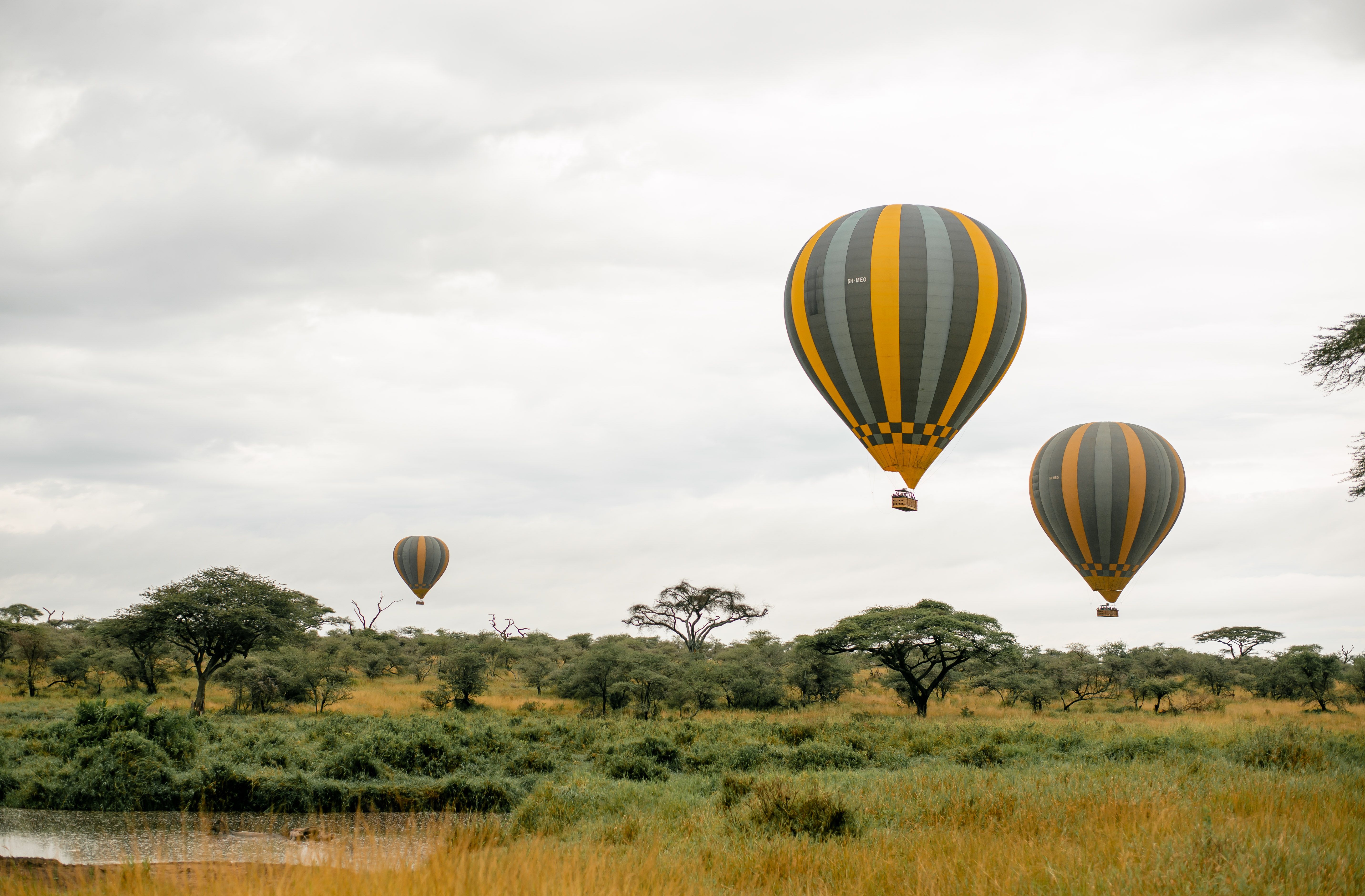 Hot Air Balloons over the Savannah · Free Stock Photo