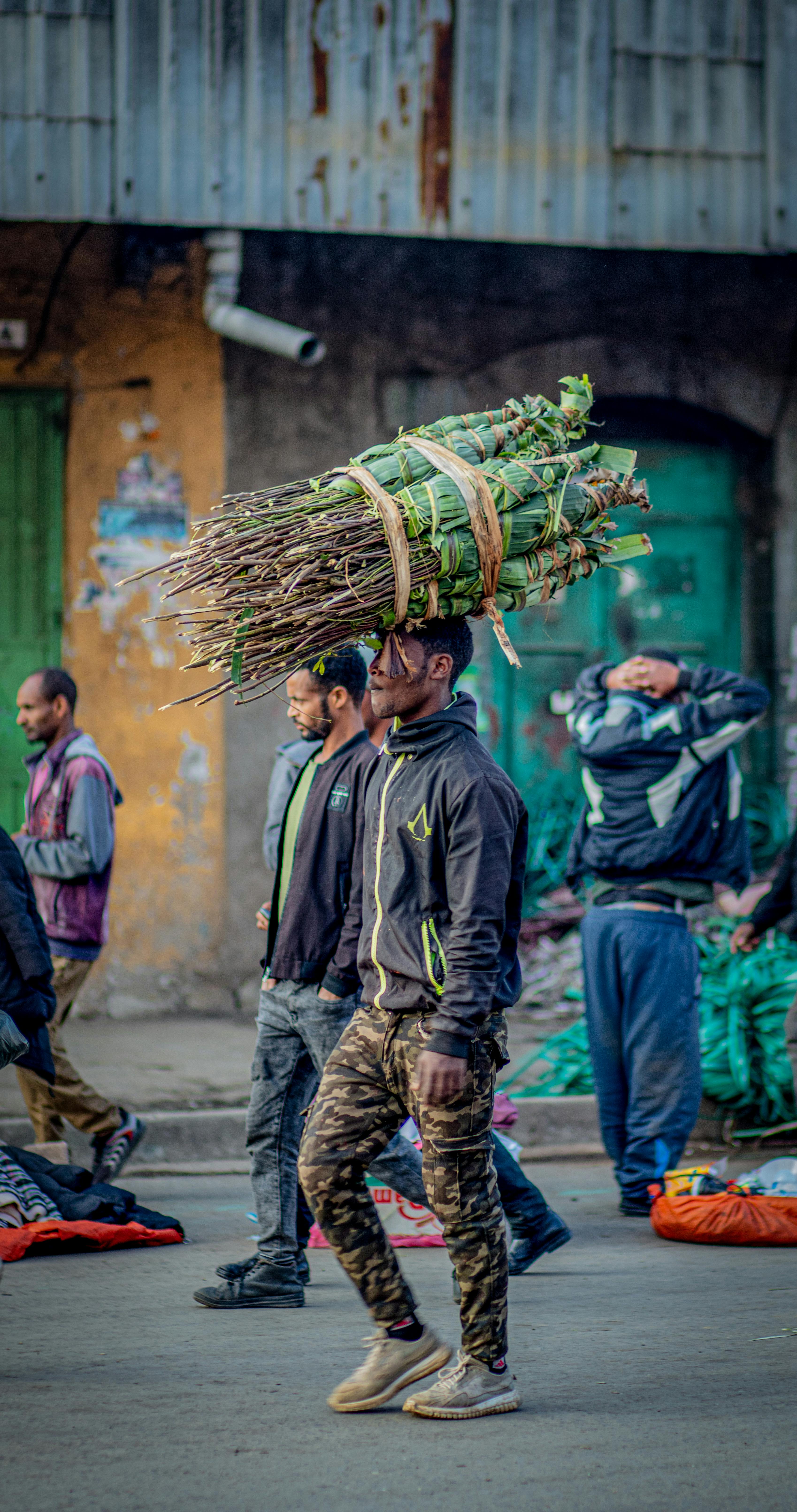 A Man Carrying Plants · Free Stock Photo
