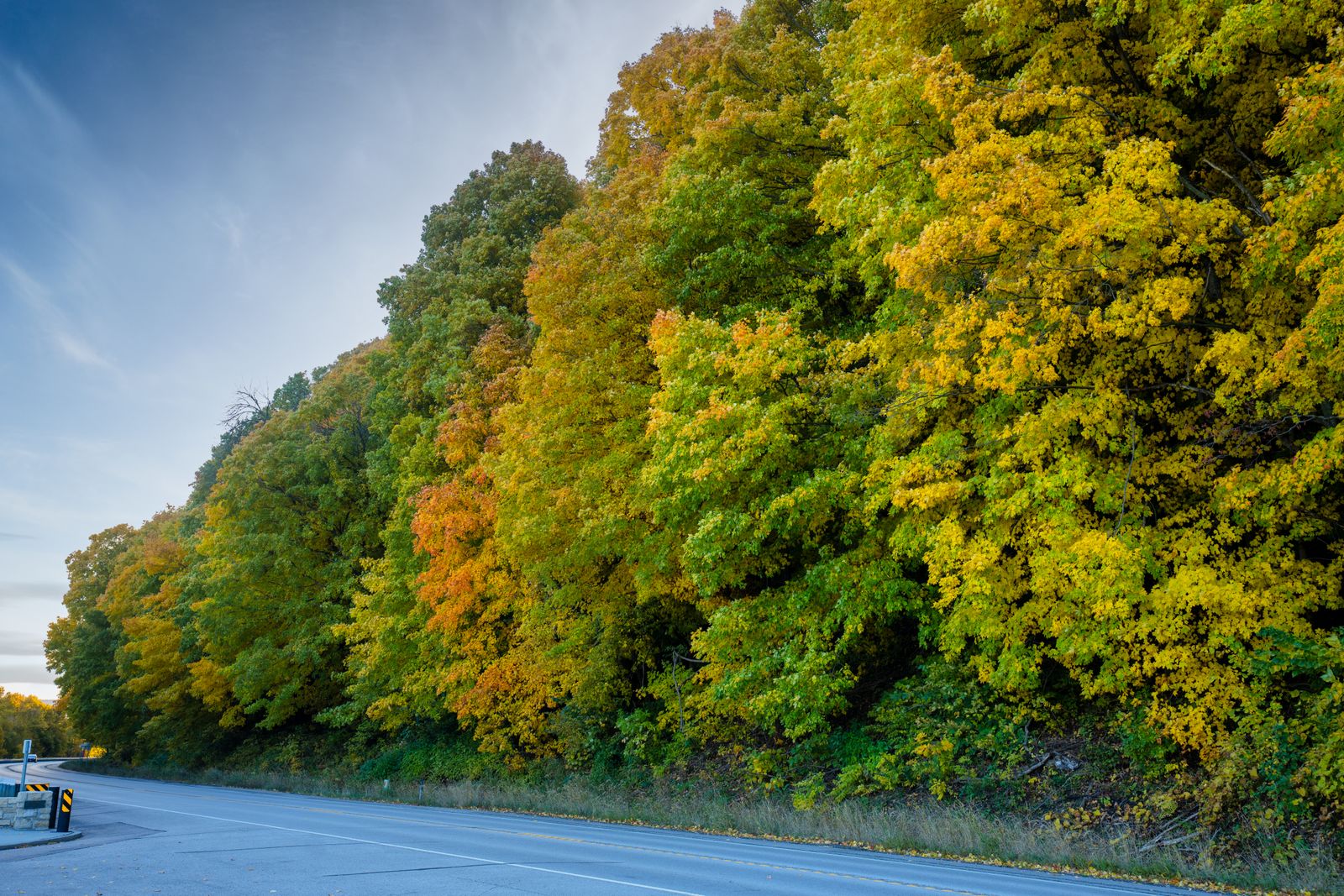 French Road Trees Photos, Download The BEST Free French Road Trees ...