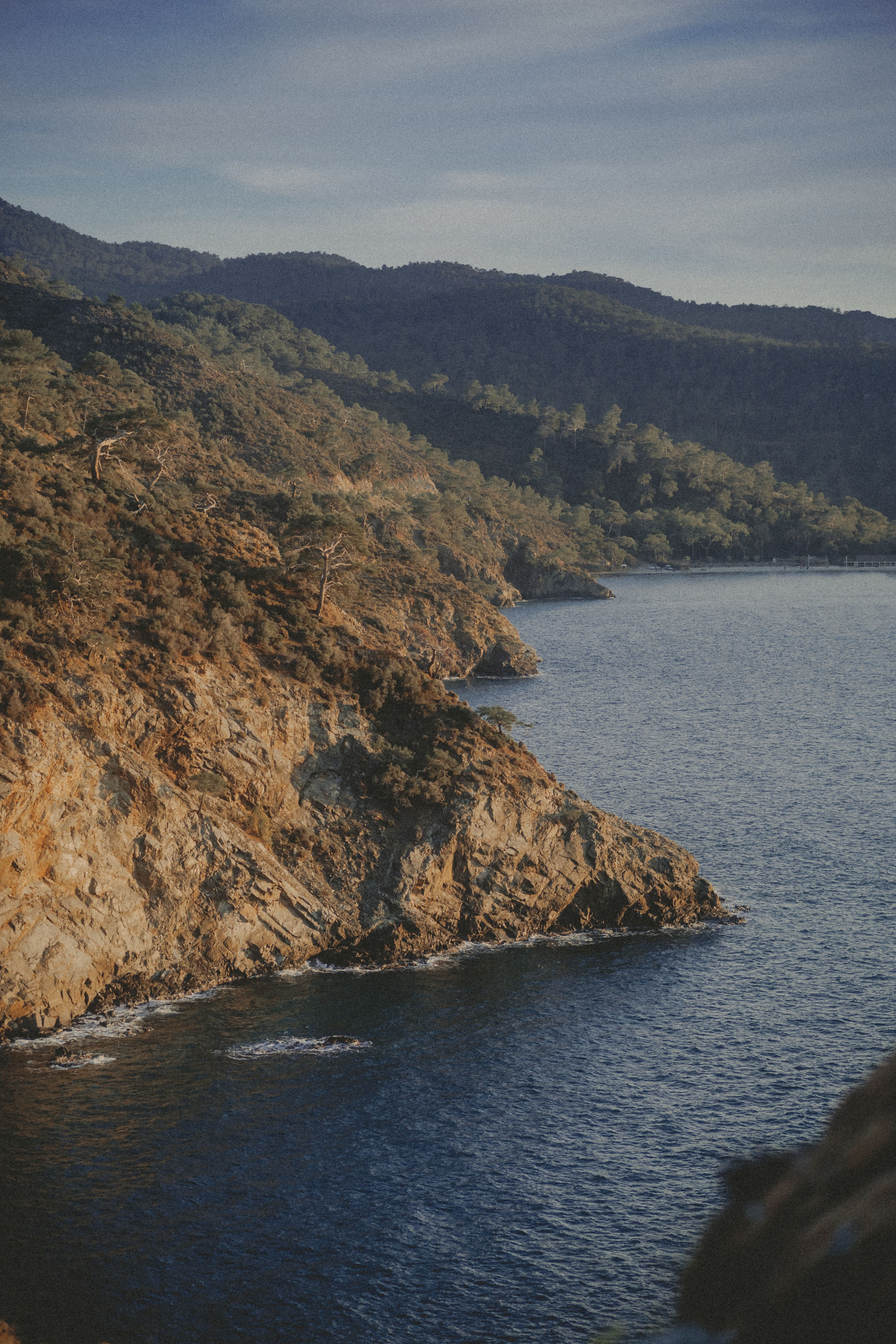 Mountainous Coast Covered with Forest · Free Stock Photo
