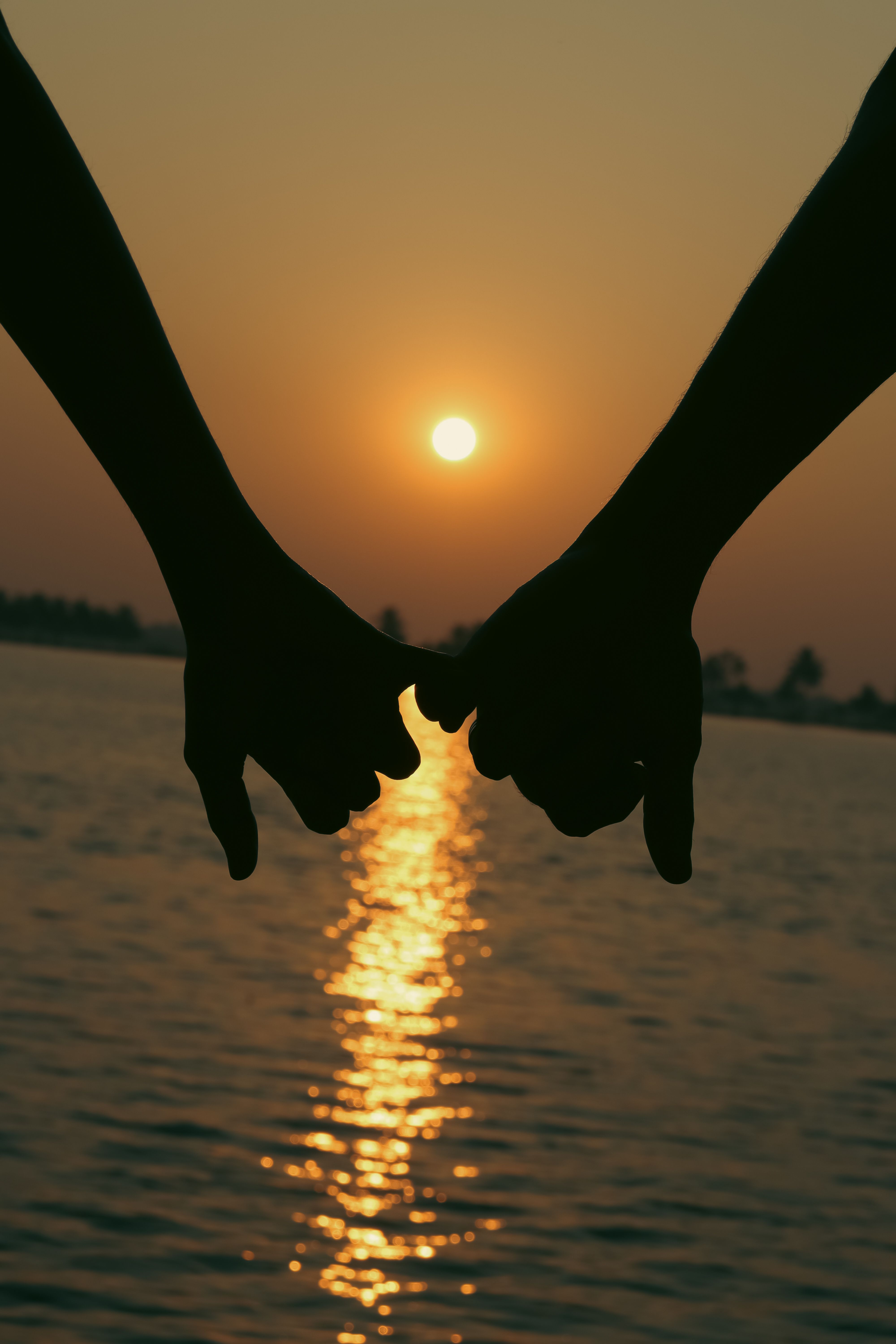 Foto de stock gratuita sobre abrazar, afecto, amor, anochecer, armonía ...