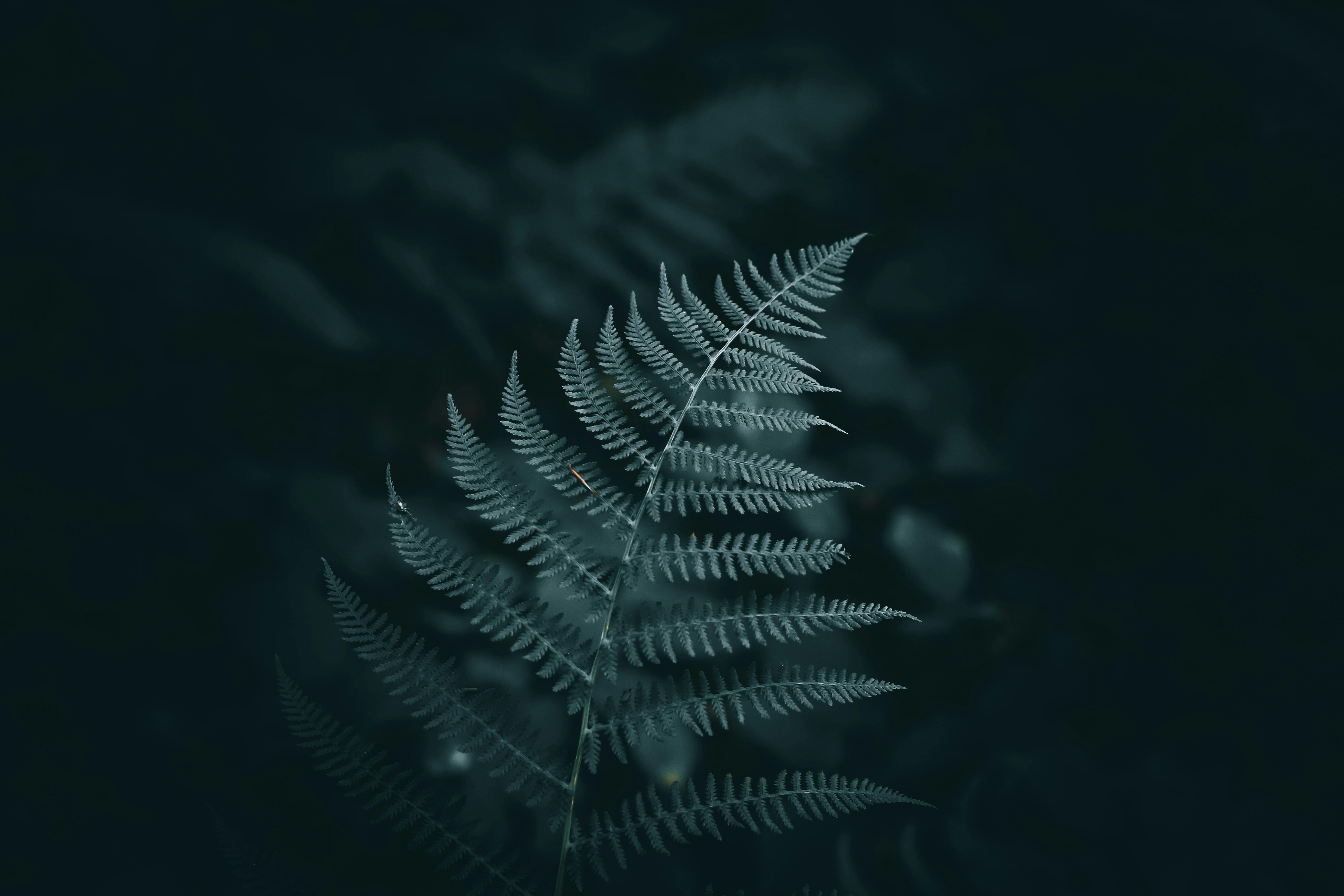 Student Dark Background Photos, Download The BEST Free Student Dark ...