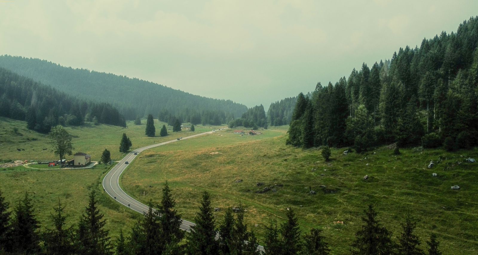French Road Trees Photos, Download The BEST Free French Road Trees ...