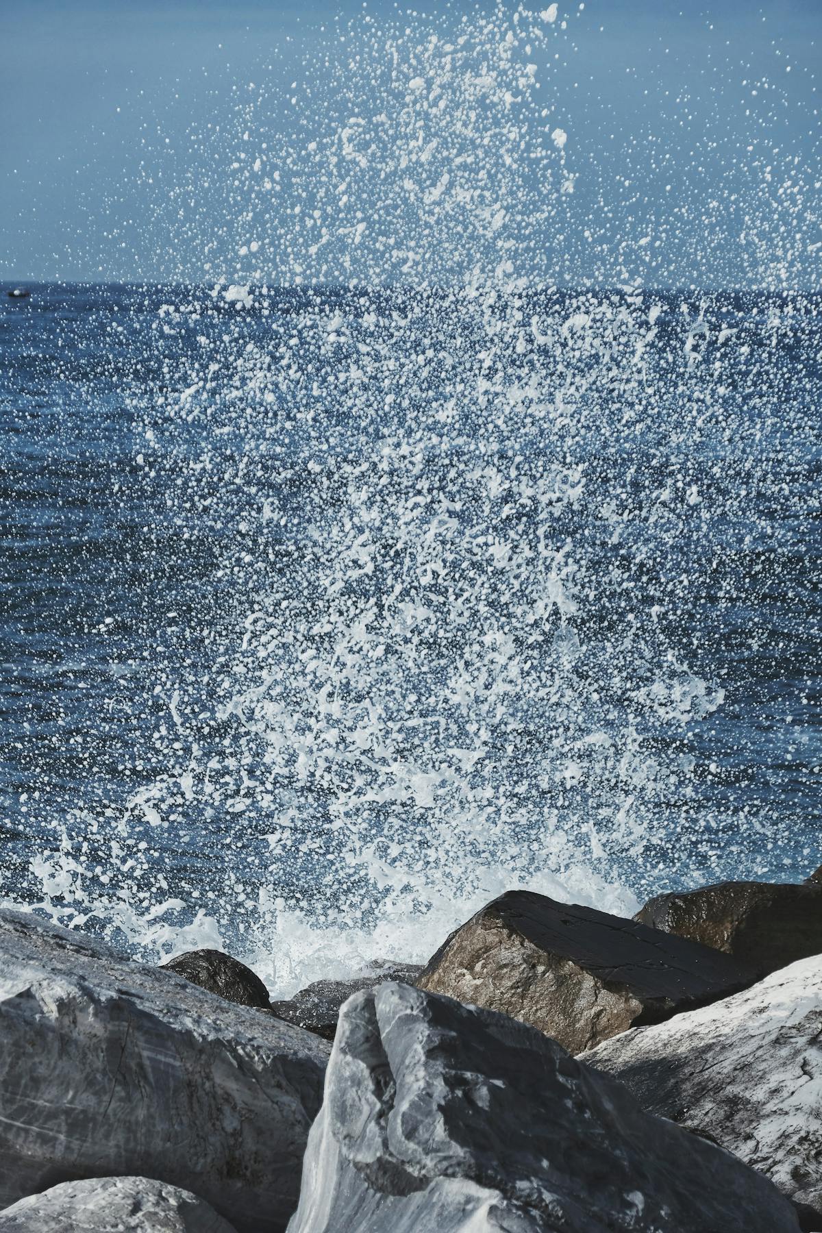 Rogue Wave Photos, Download The BEST Free Rogue Wave Stock Photos & HD ...