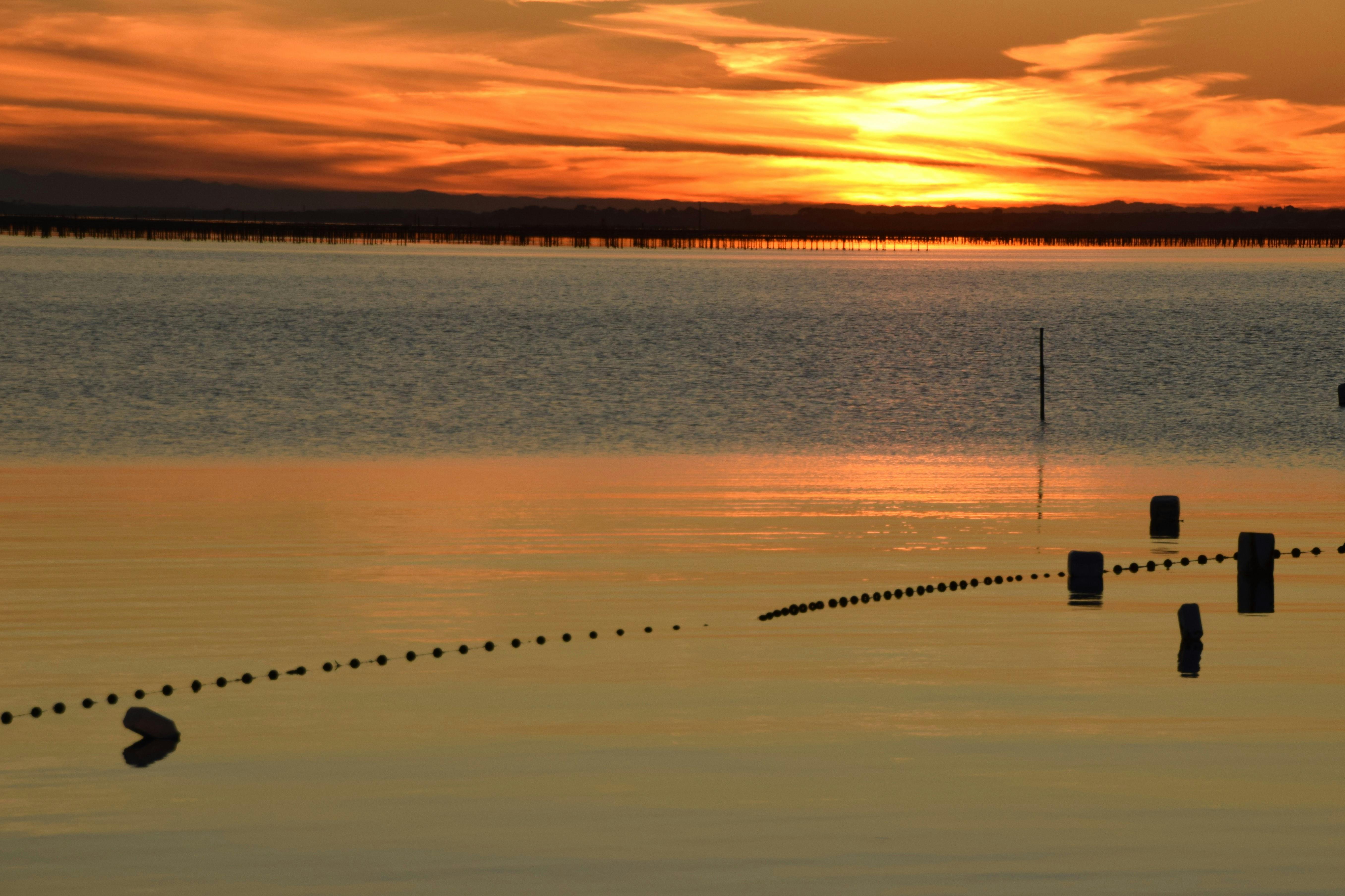 Isabelle Borg - Photographie