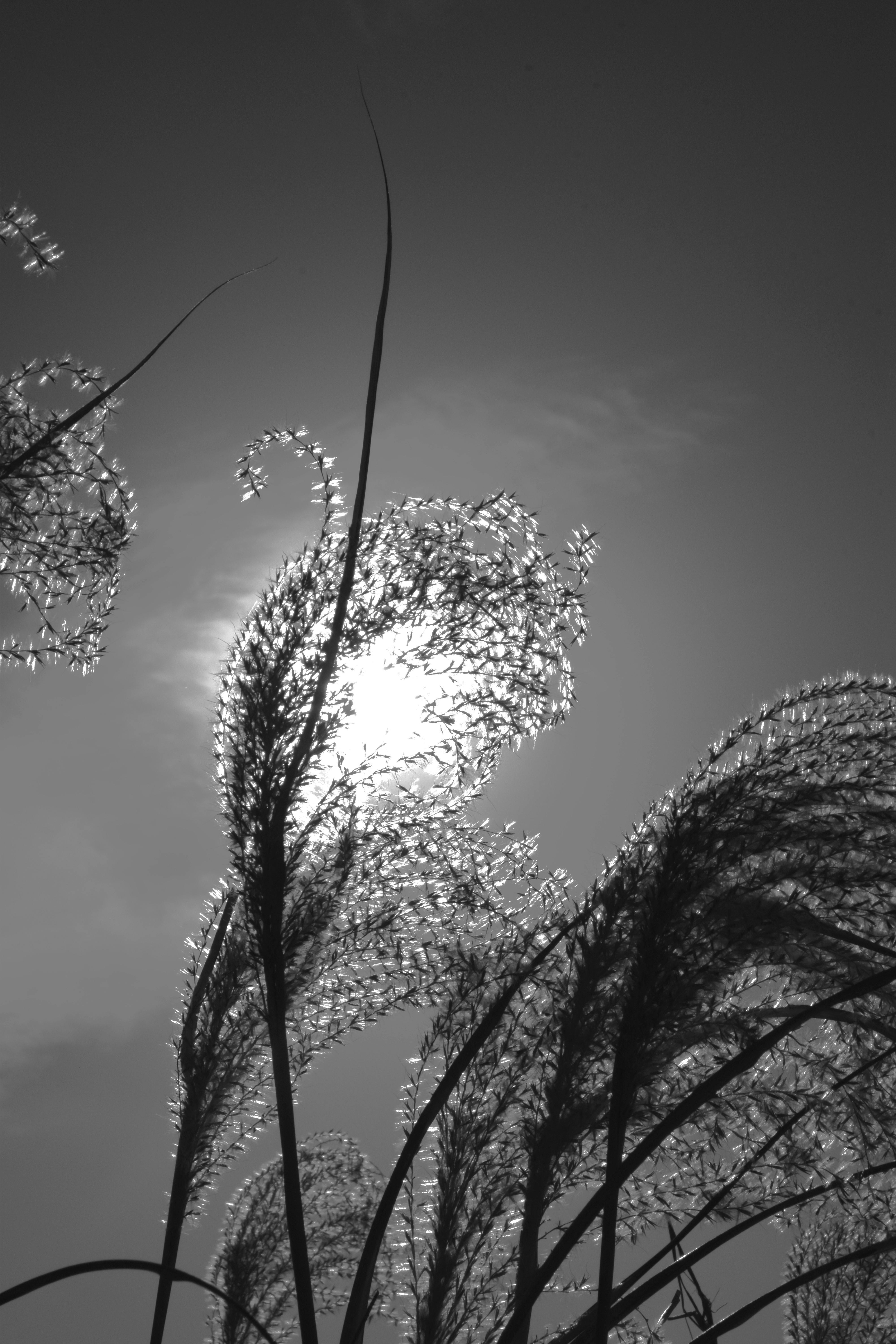 Isabelle Borg - Photographie