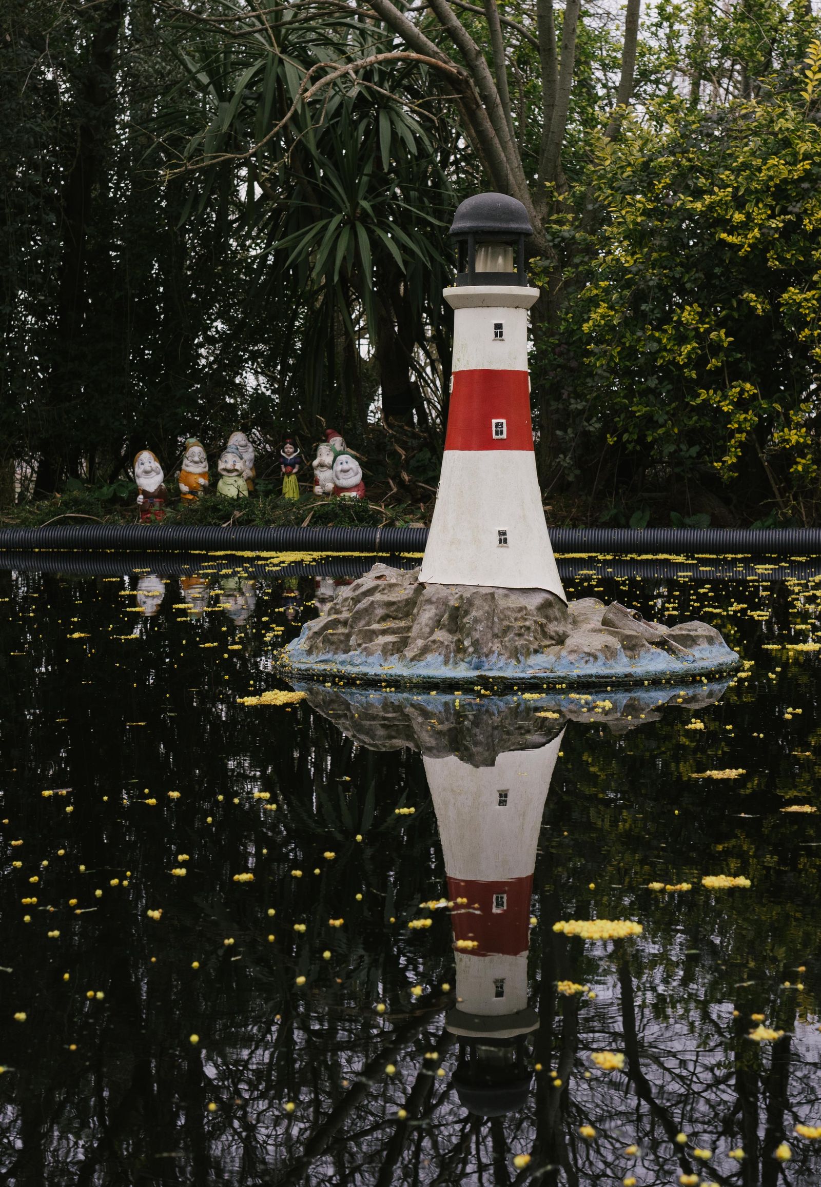 Gnomes Photos, Download The BEST Free Gnomes Stock Photos & HD Images
