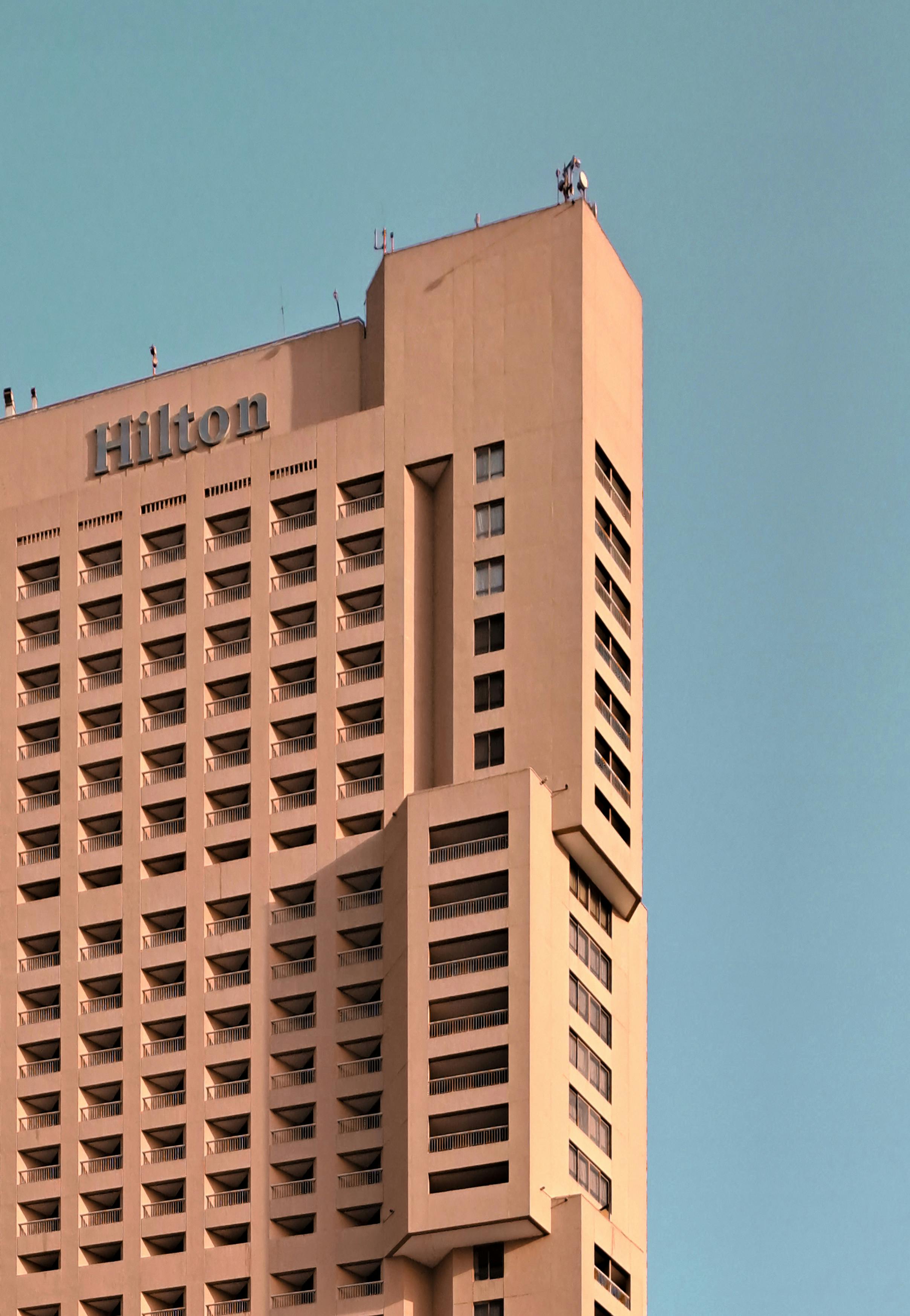 ramsis hilton · Free Stock Photo