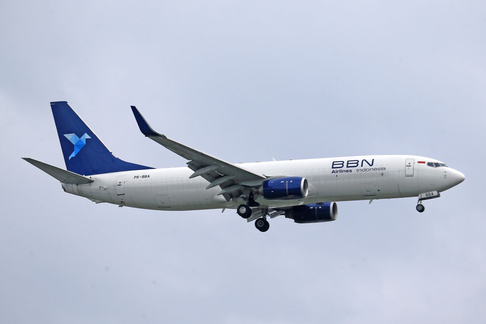 Plane Flying Photos, Download The BEST Free Plane Flying Stock Photos ...