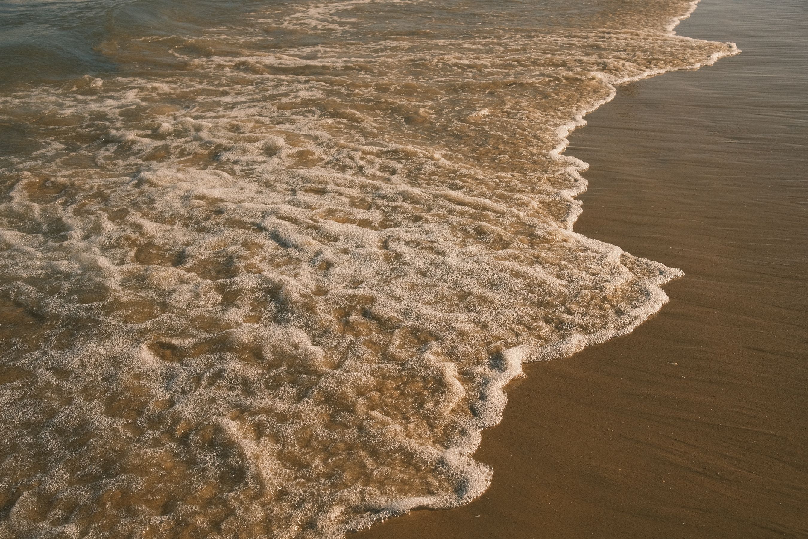 Shallow Water on Sea Shore · Free Stock Photo