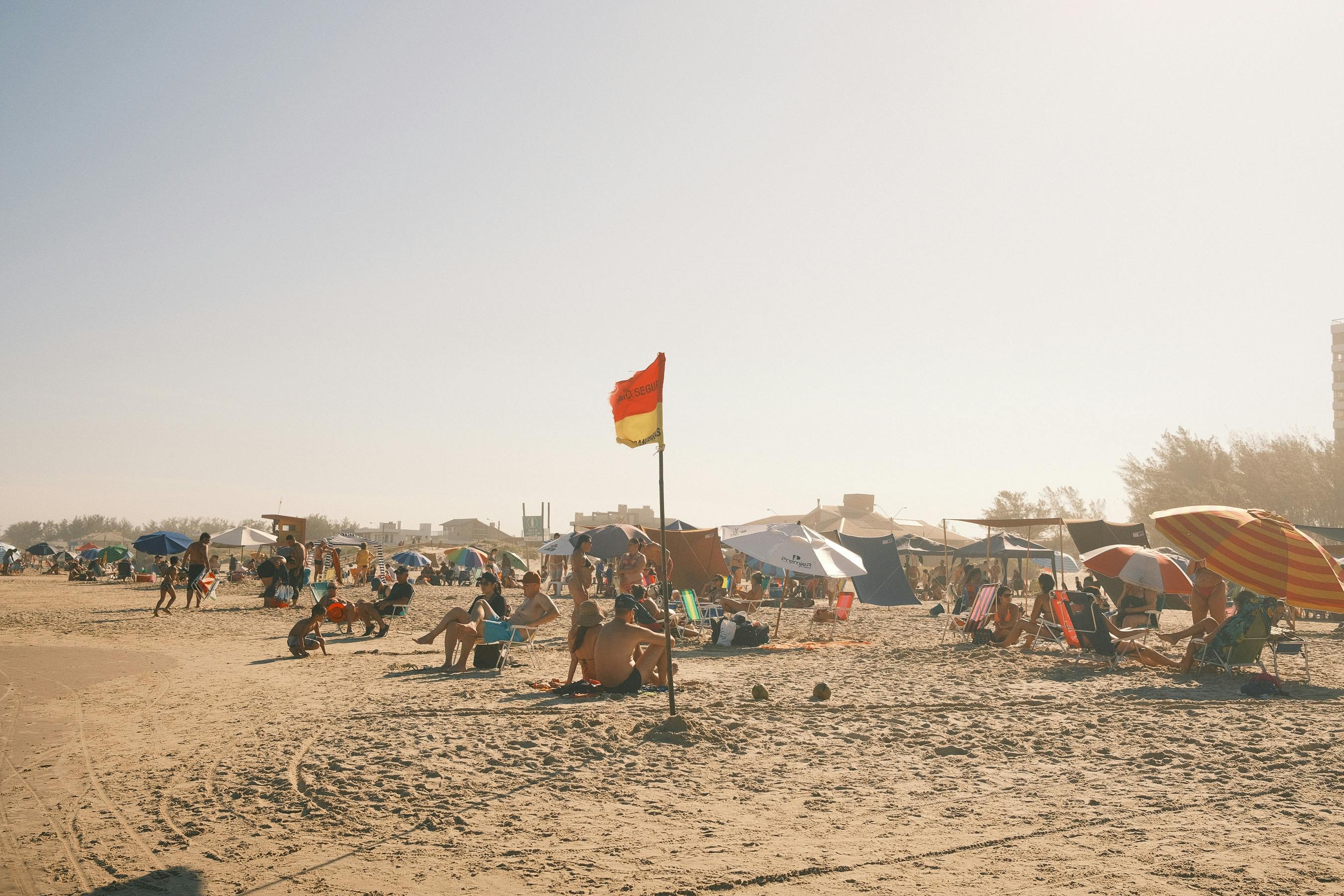 Bird's Eye View of Beach During Summer · Free Stock Photo
