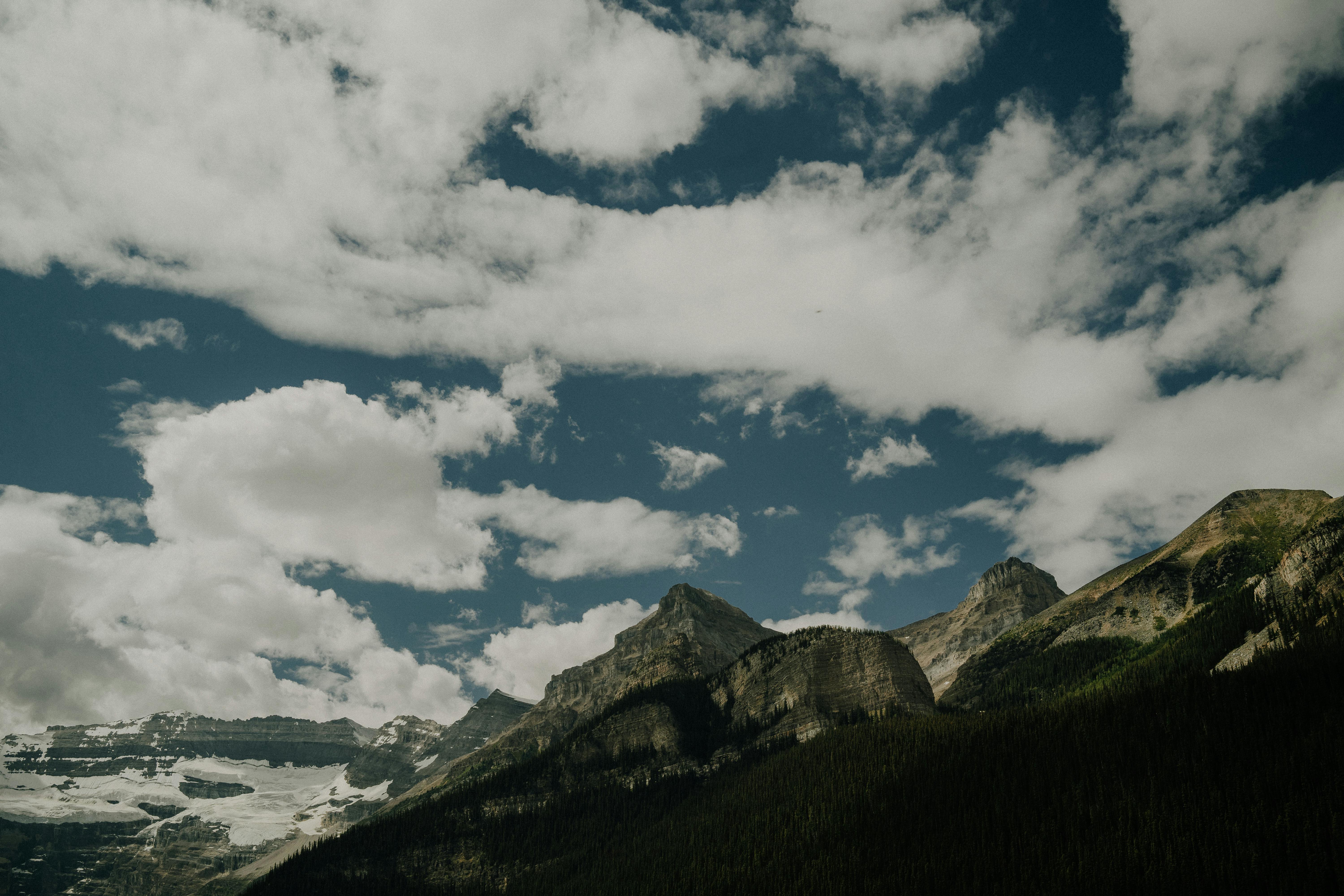 Vimy Ridge Day Canada Photos, Download The BEST Free Vimy Ridge Day ...