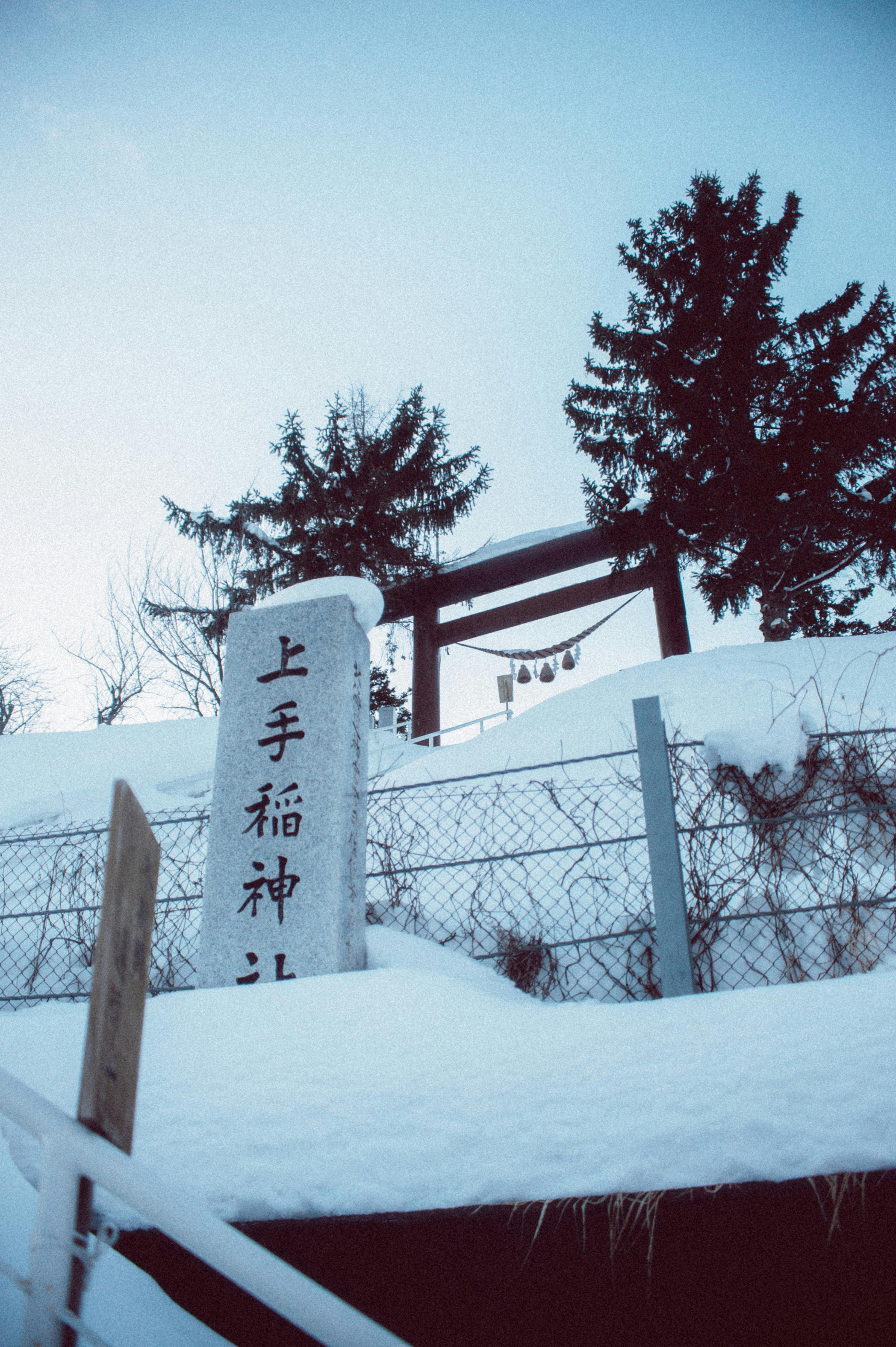Snowed Path to Temple · Free Stock Photo