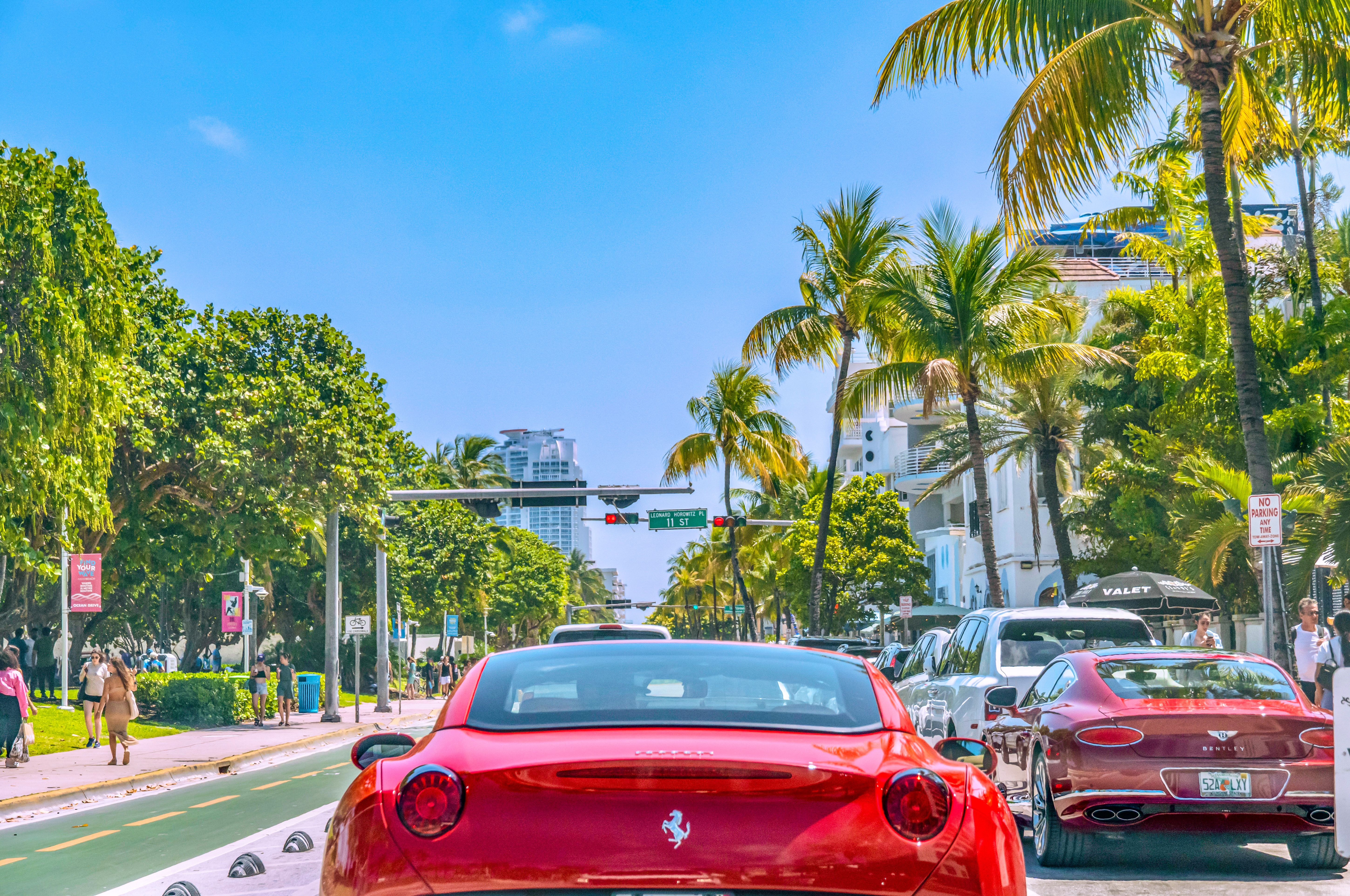 Cars on a Road Among Palm Trees · Free Stock Photo