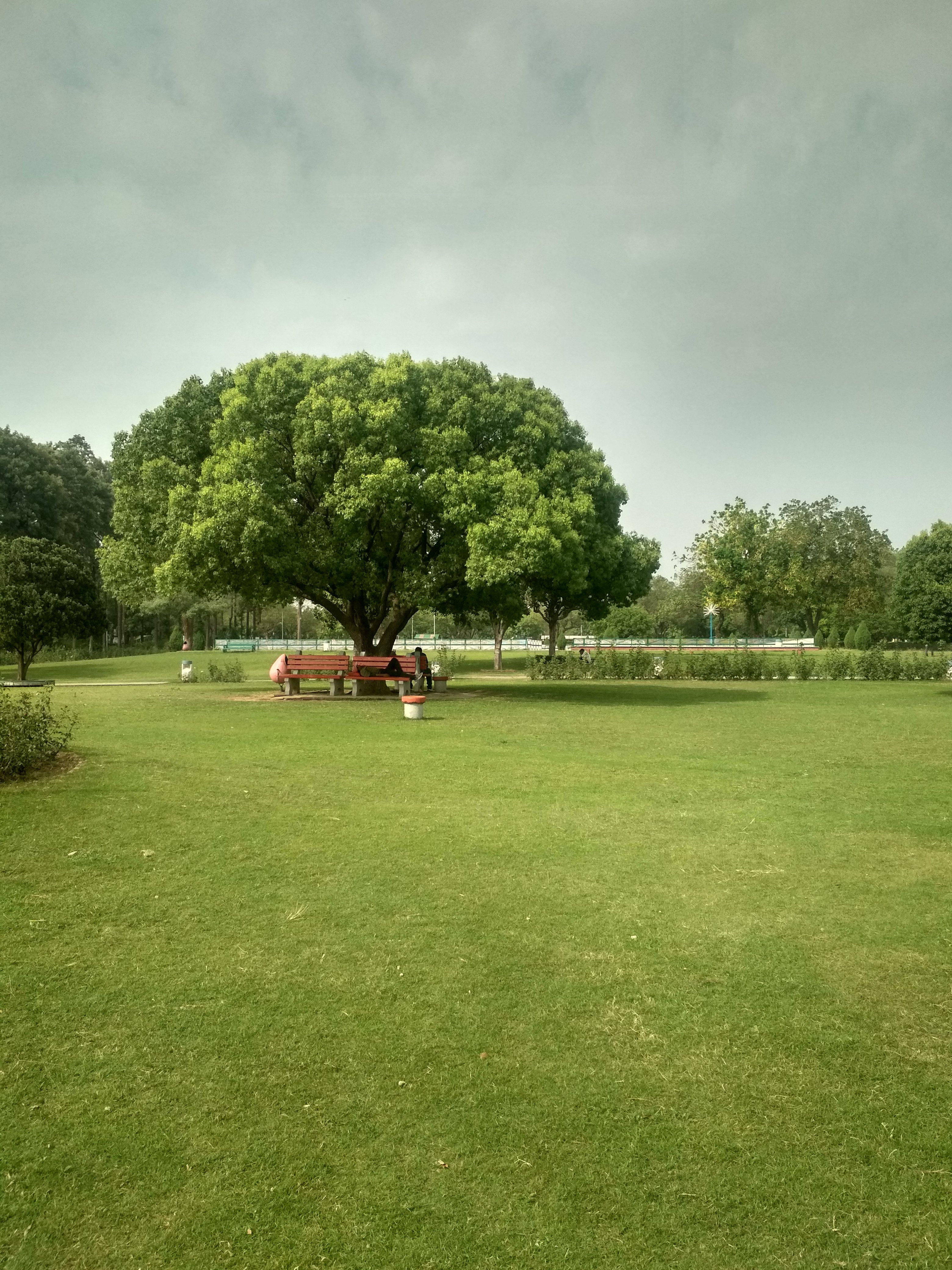 Beautiful garden view hd · Free Stock Photo